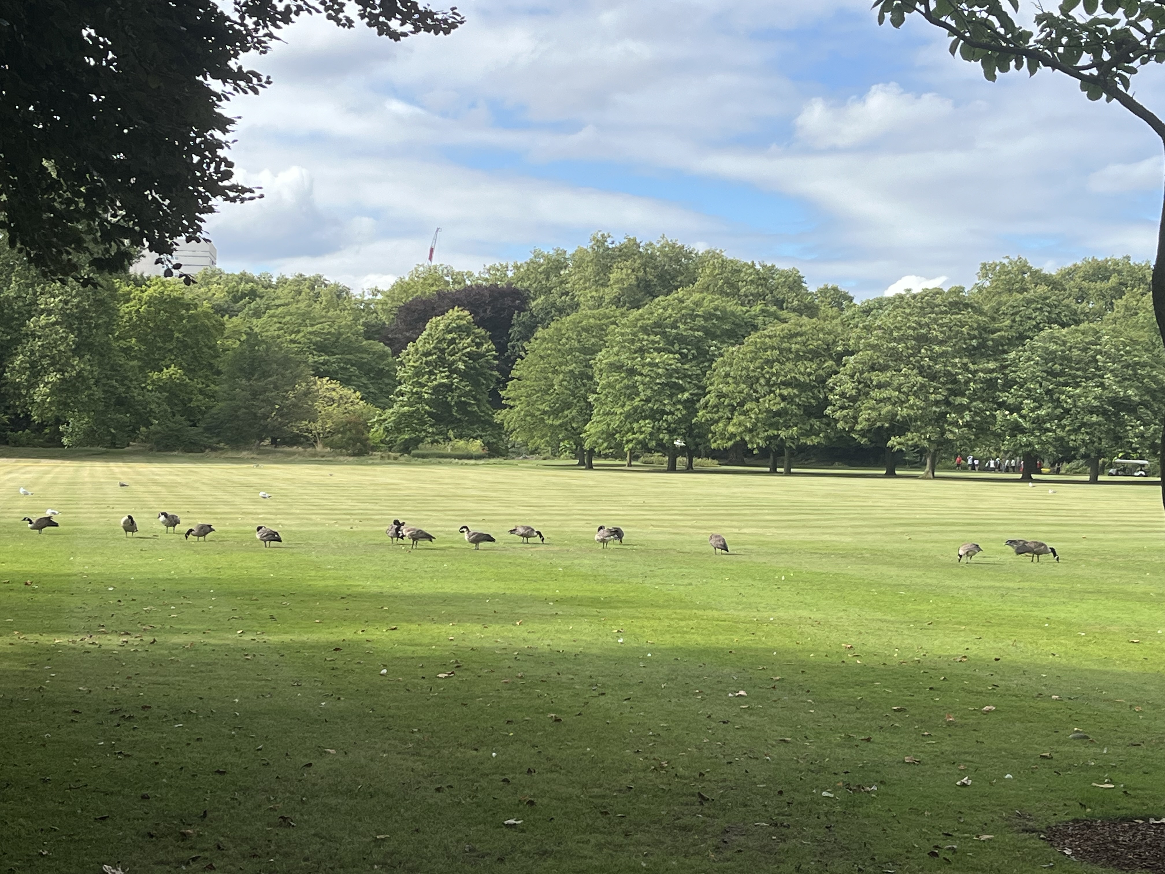 Buckingham Palace State Rooms Entrance Ticket | Headout