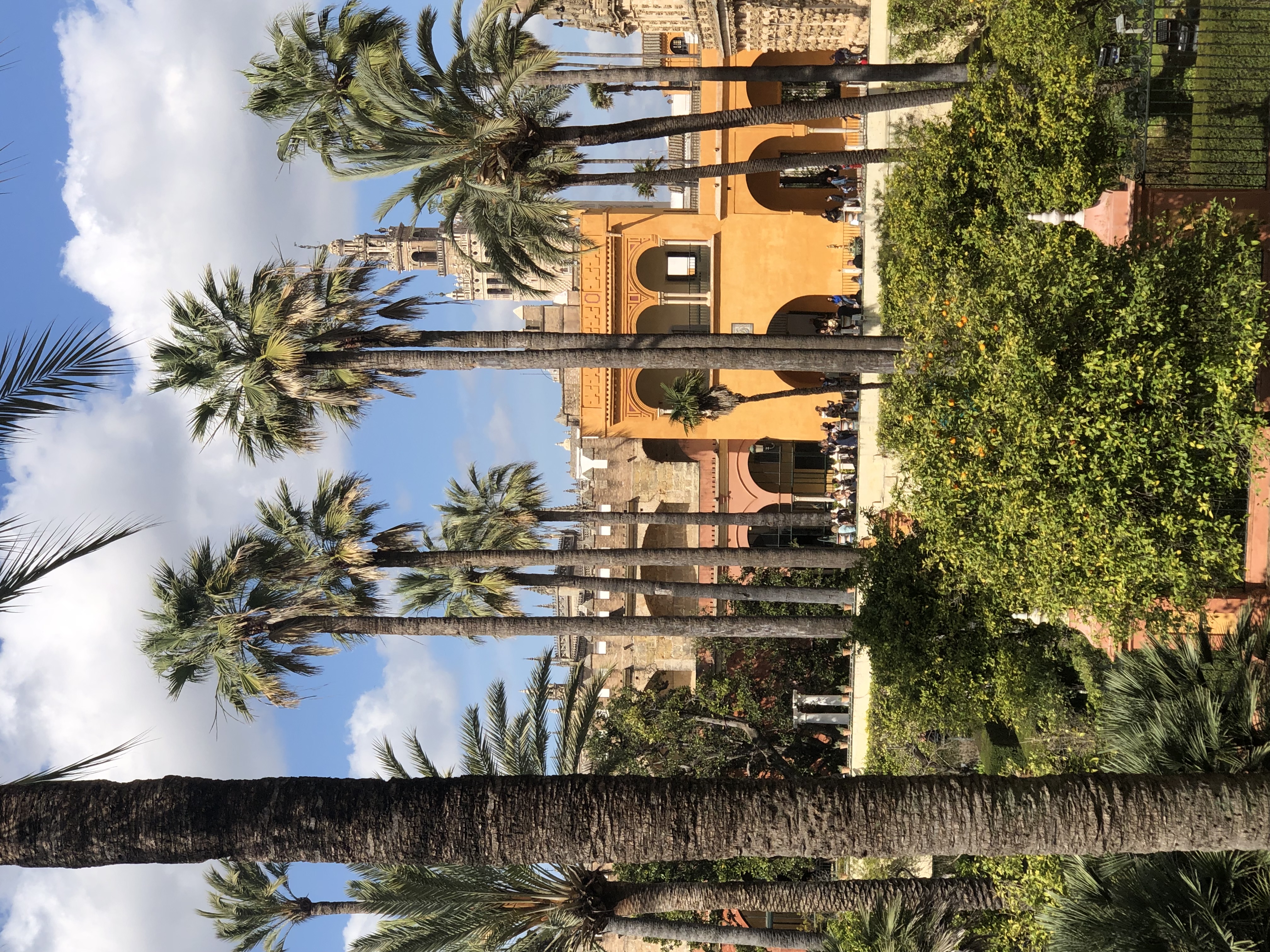 Seville Cathedral & Alcazar Guided Tour | La Giralda Access