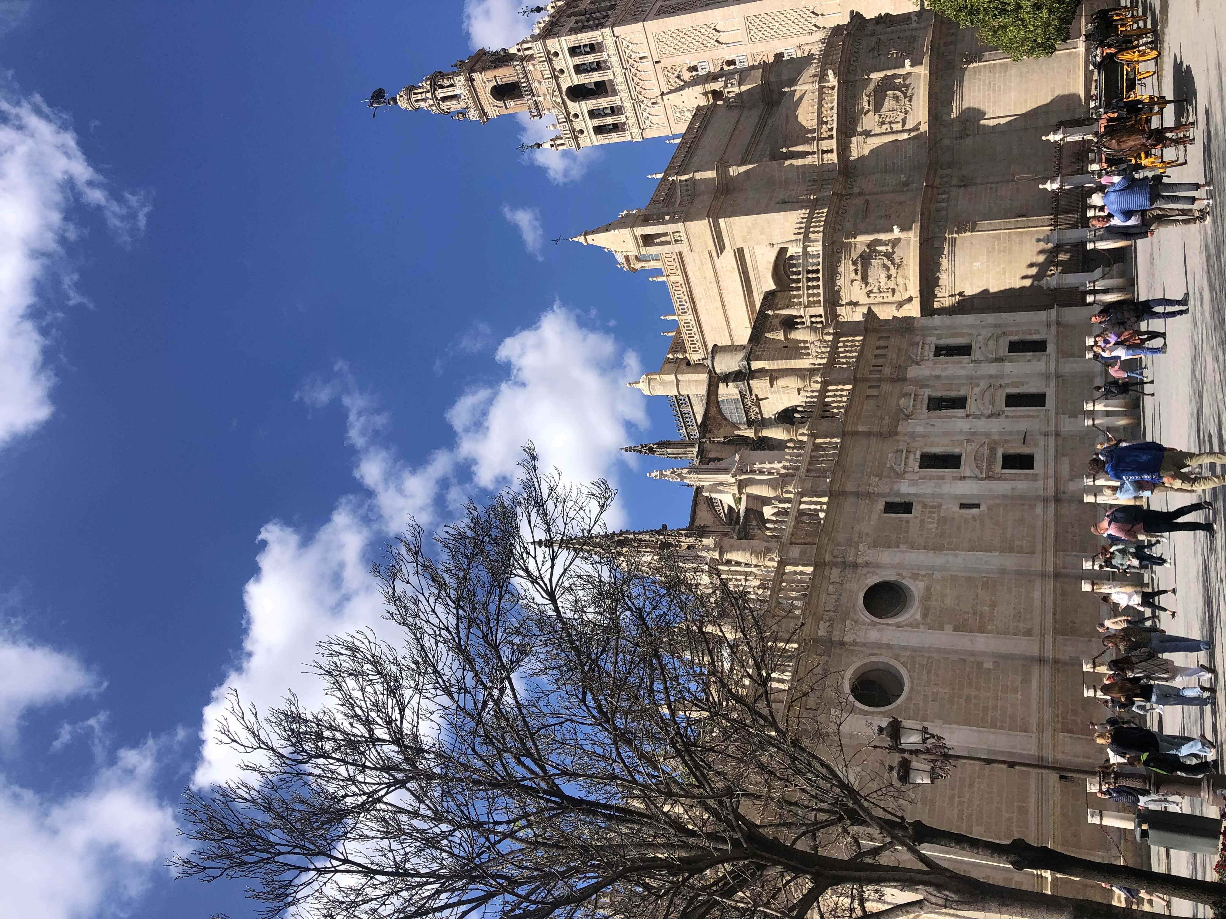 Seville Cathedral & Alcazar Guided Tour | La Giralda Access