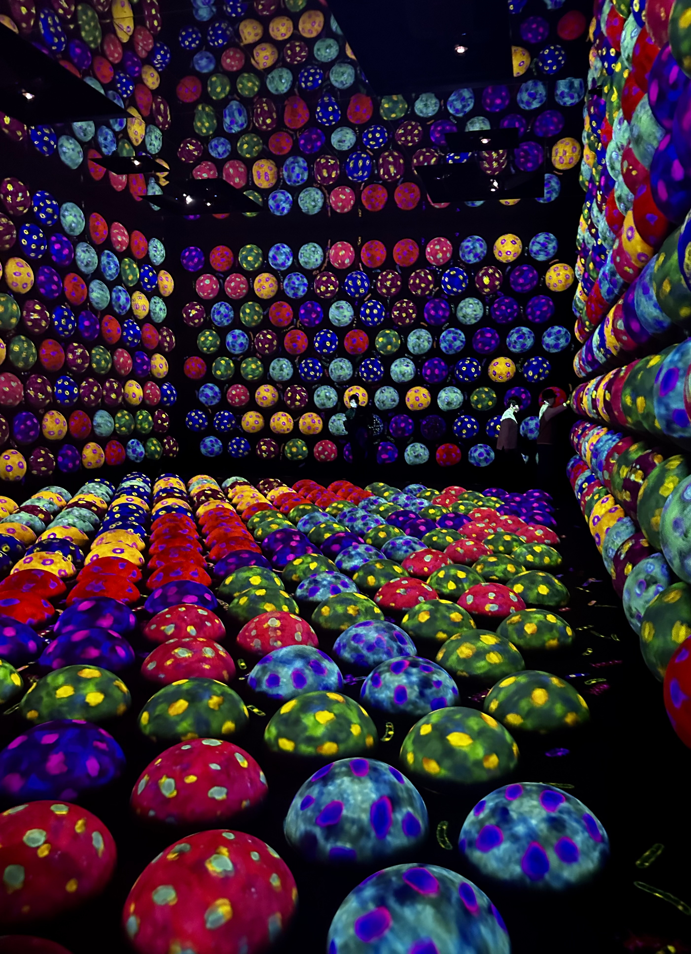 Book Team Labs Tokyo Tickets