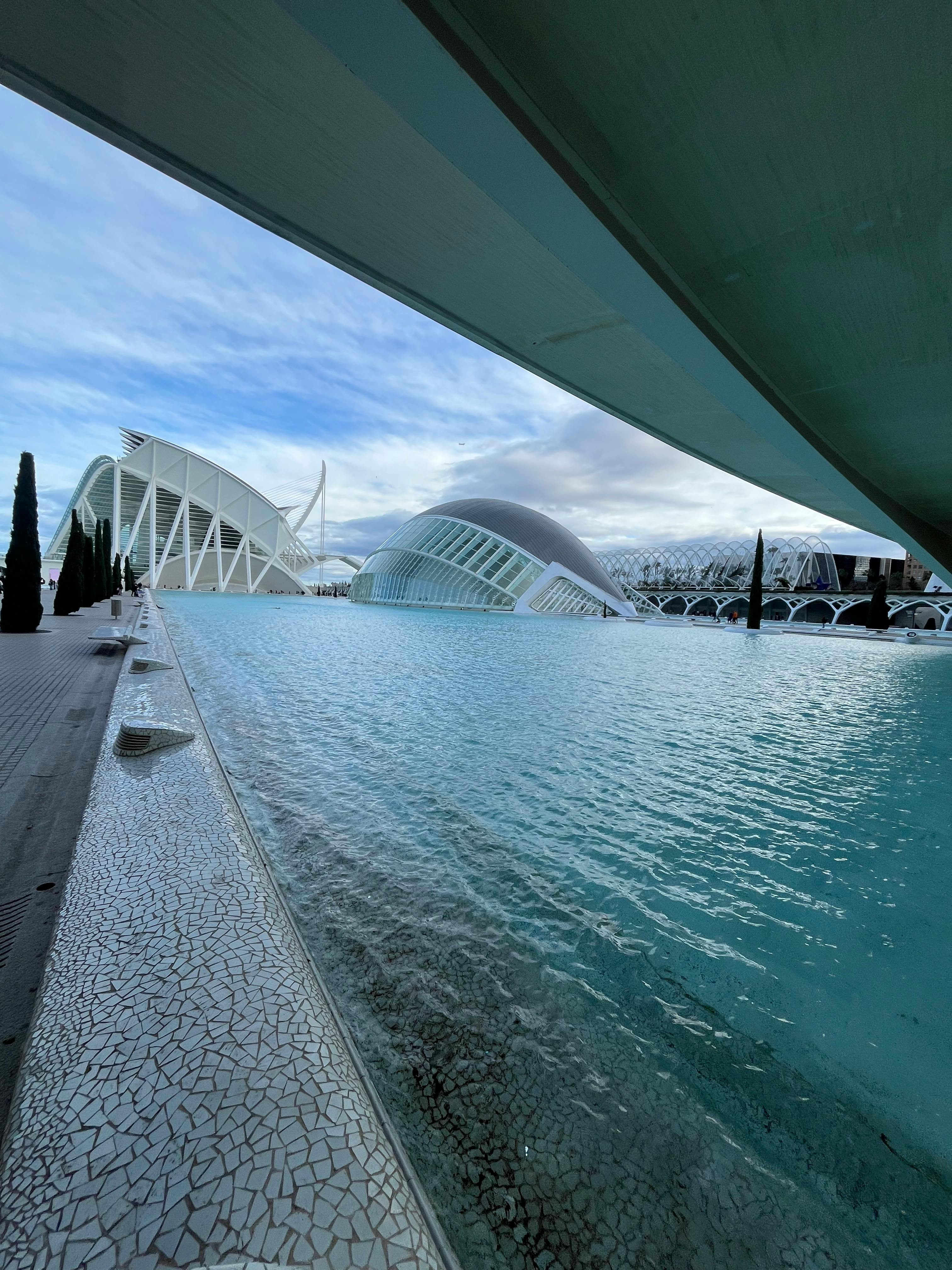 Valencia Combo: Oceanogràfic & Science Museum Tickets