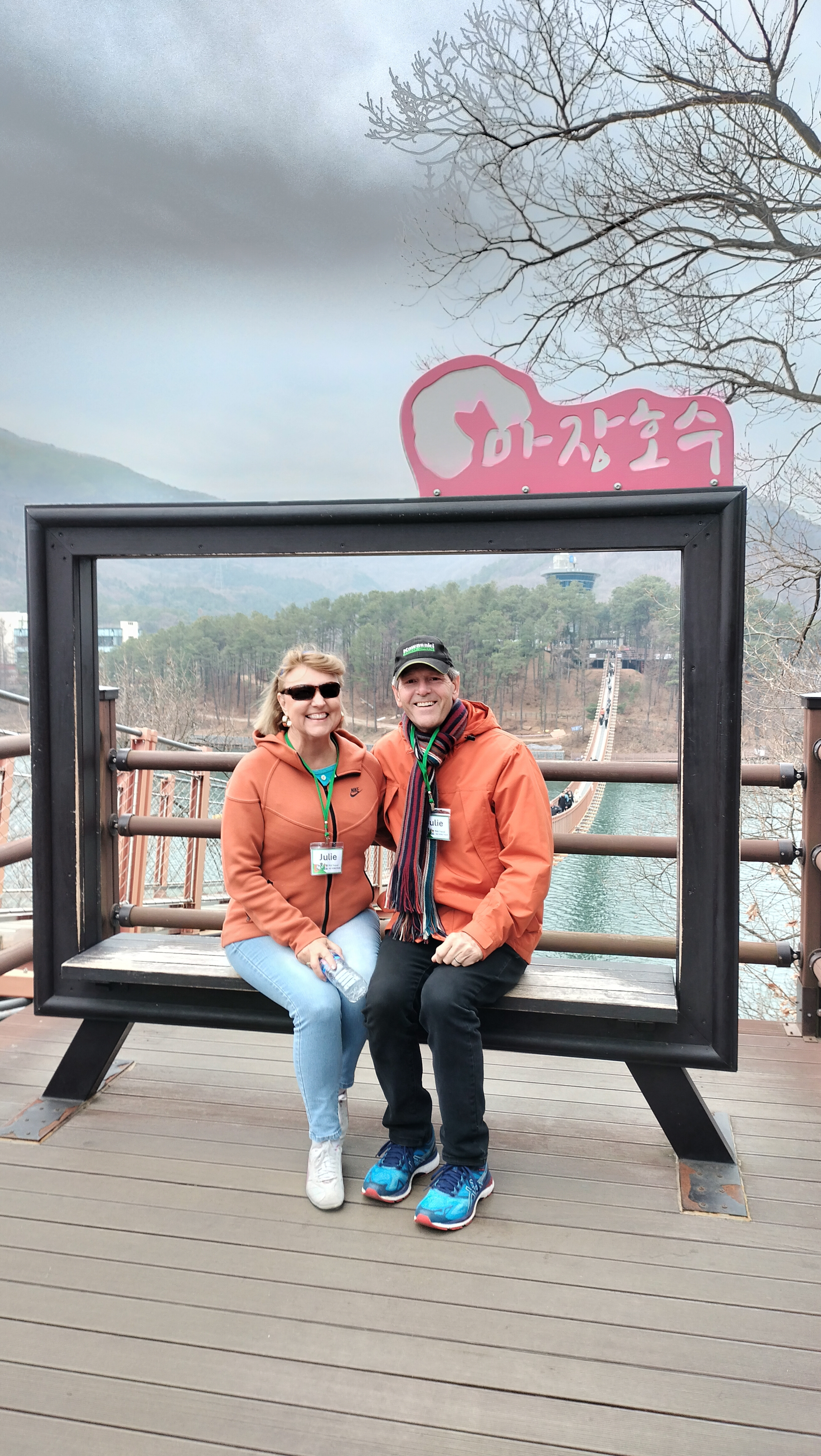 DMZ Tour from Seoul| Gamaksan or Lake Majang Bridge