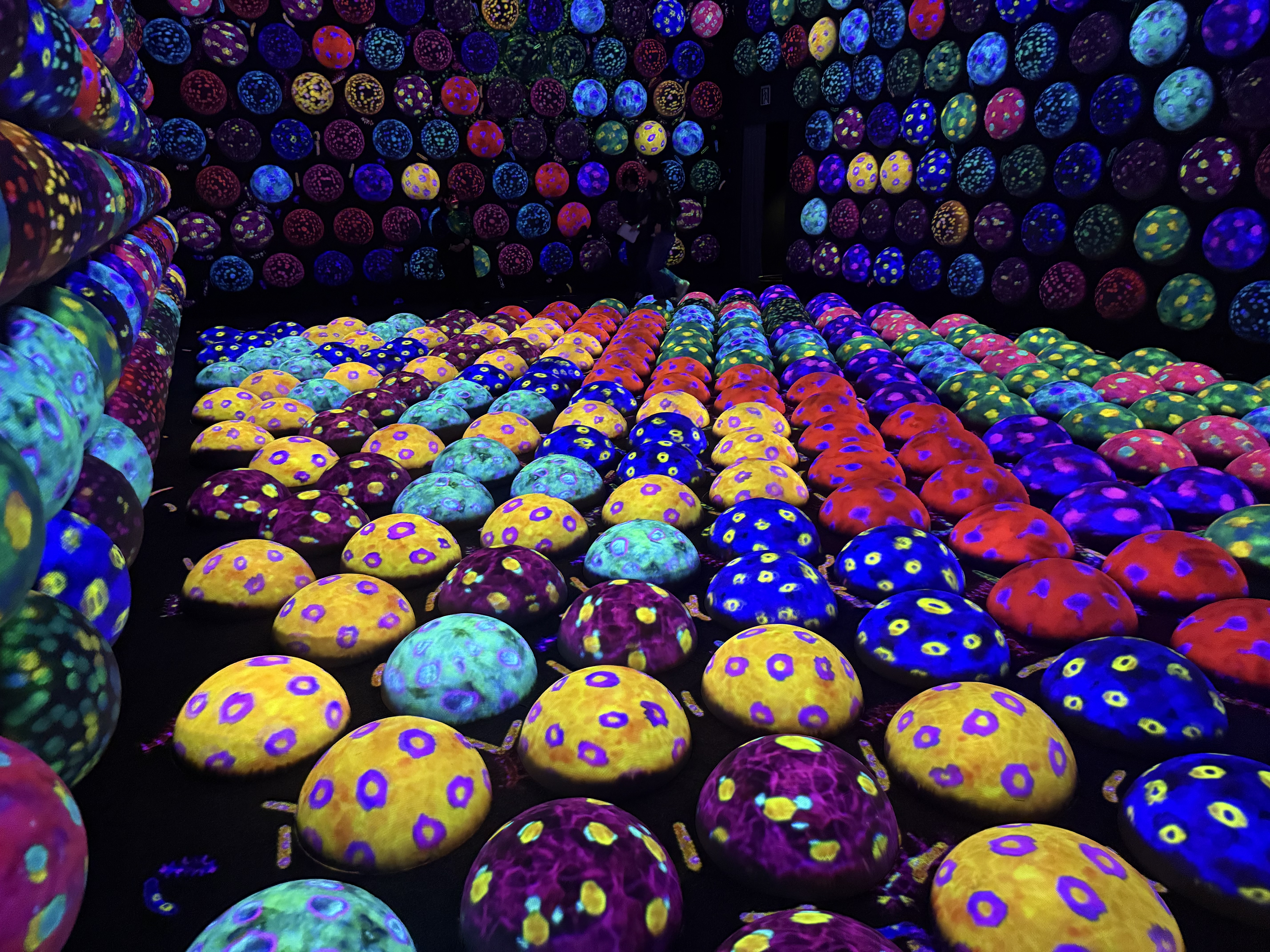 Book Team Labs Tokyo Tickets