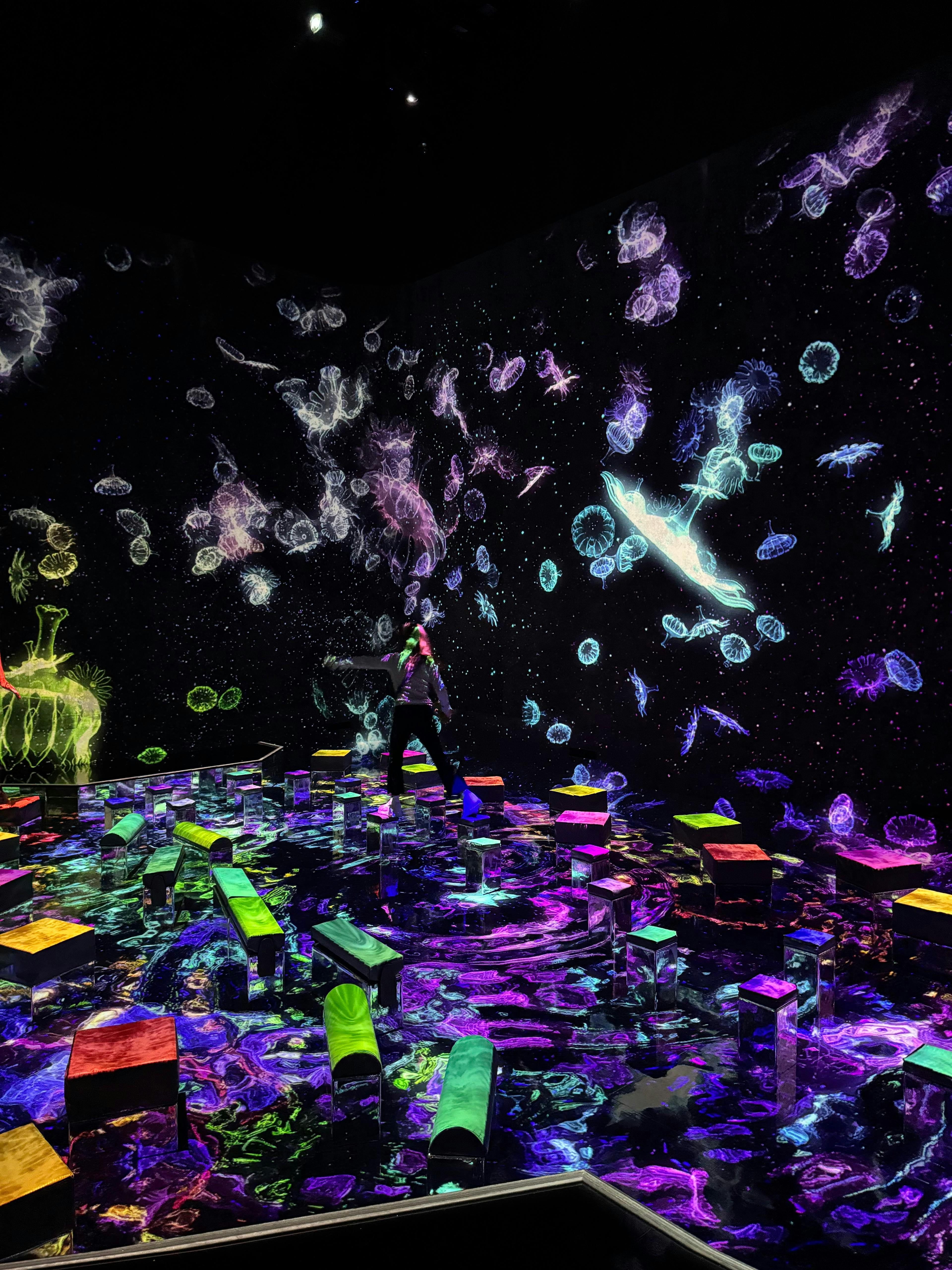 teamLab Planets + Tokyo Skytree/Tokyo Tower Tickets | Combo
