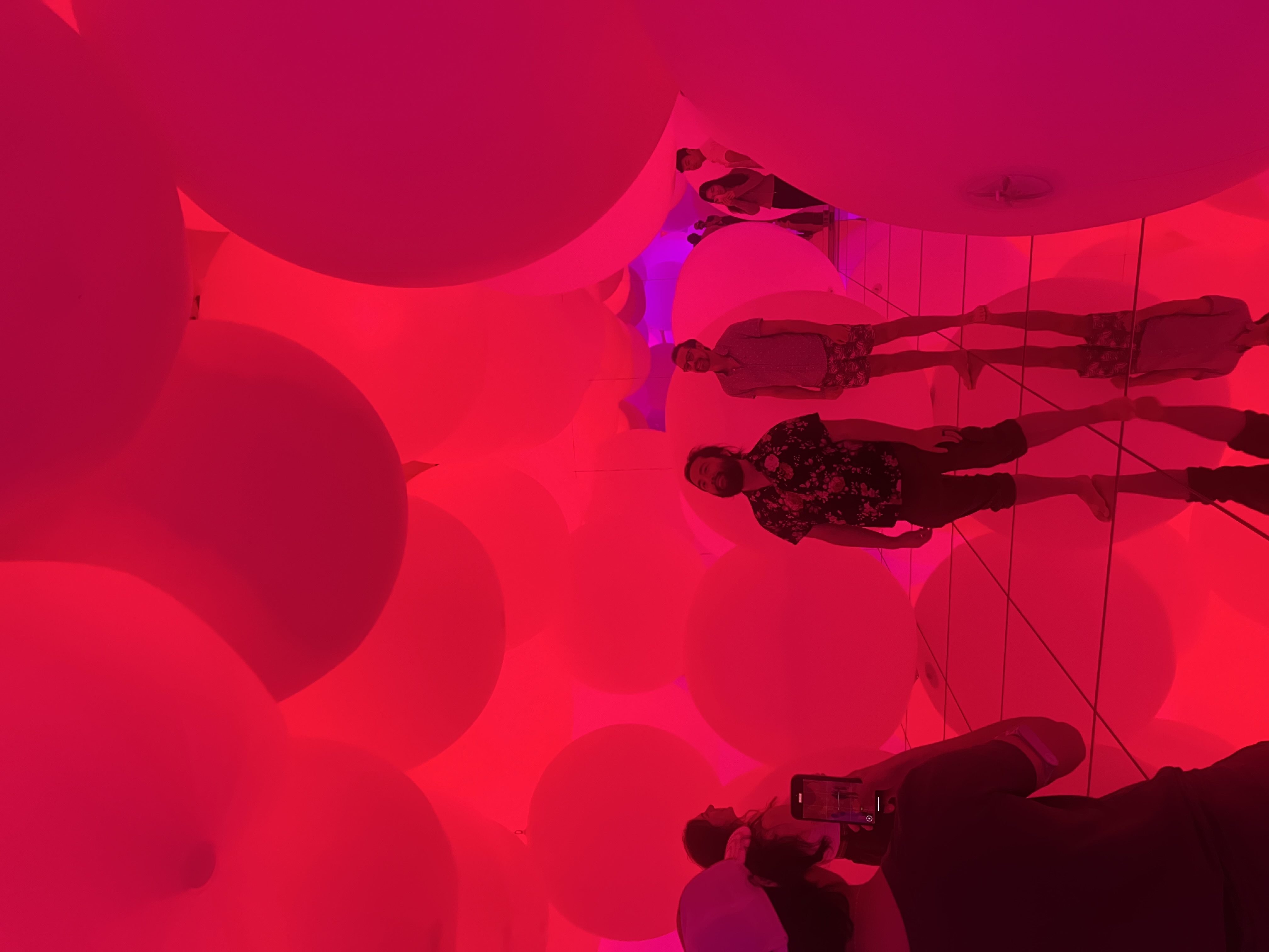 Book Team Labs Tokyo Tickets