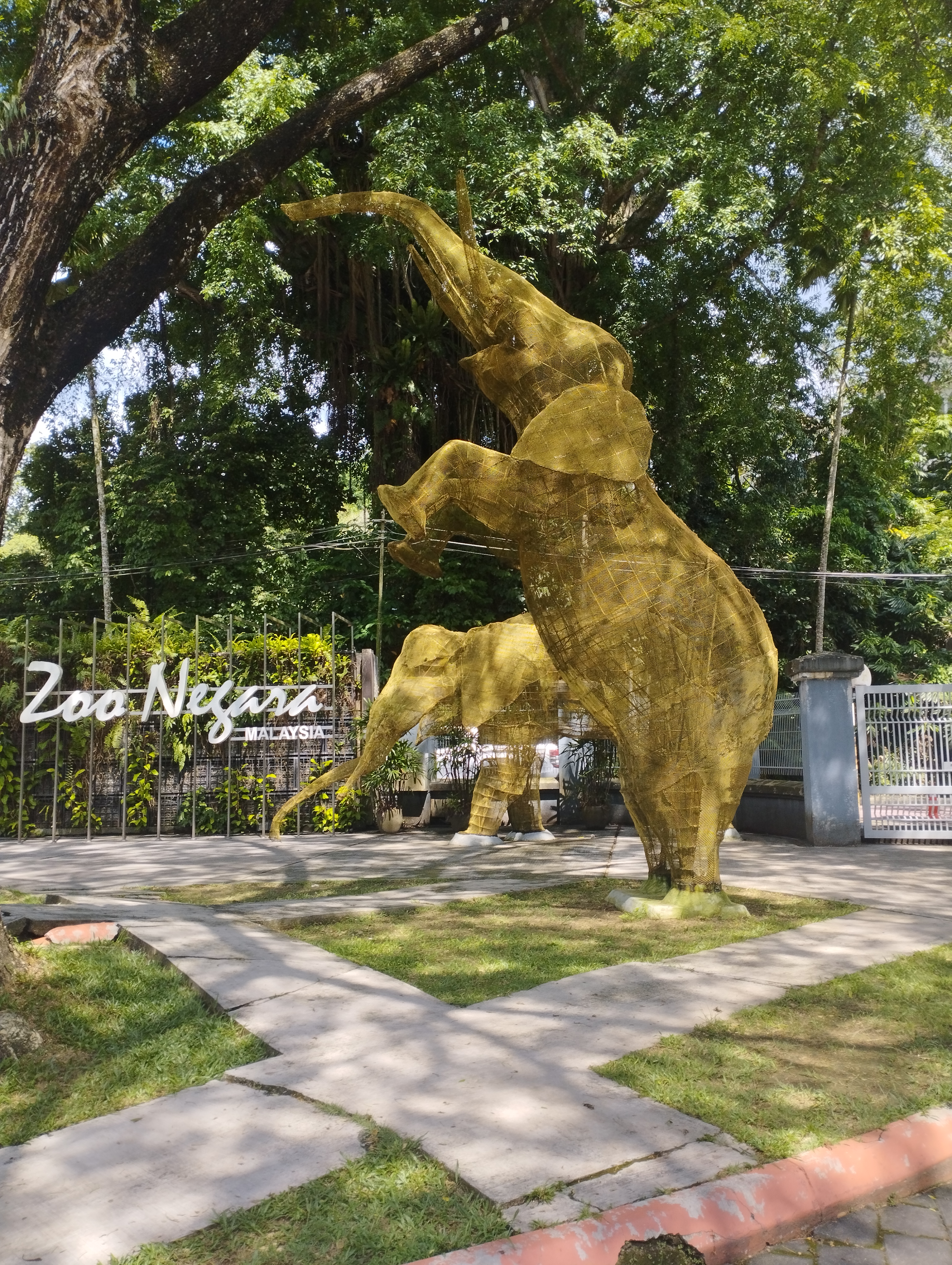 Aquaria KLCC Tickets & Zoo Negara Tickets | Save 15%