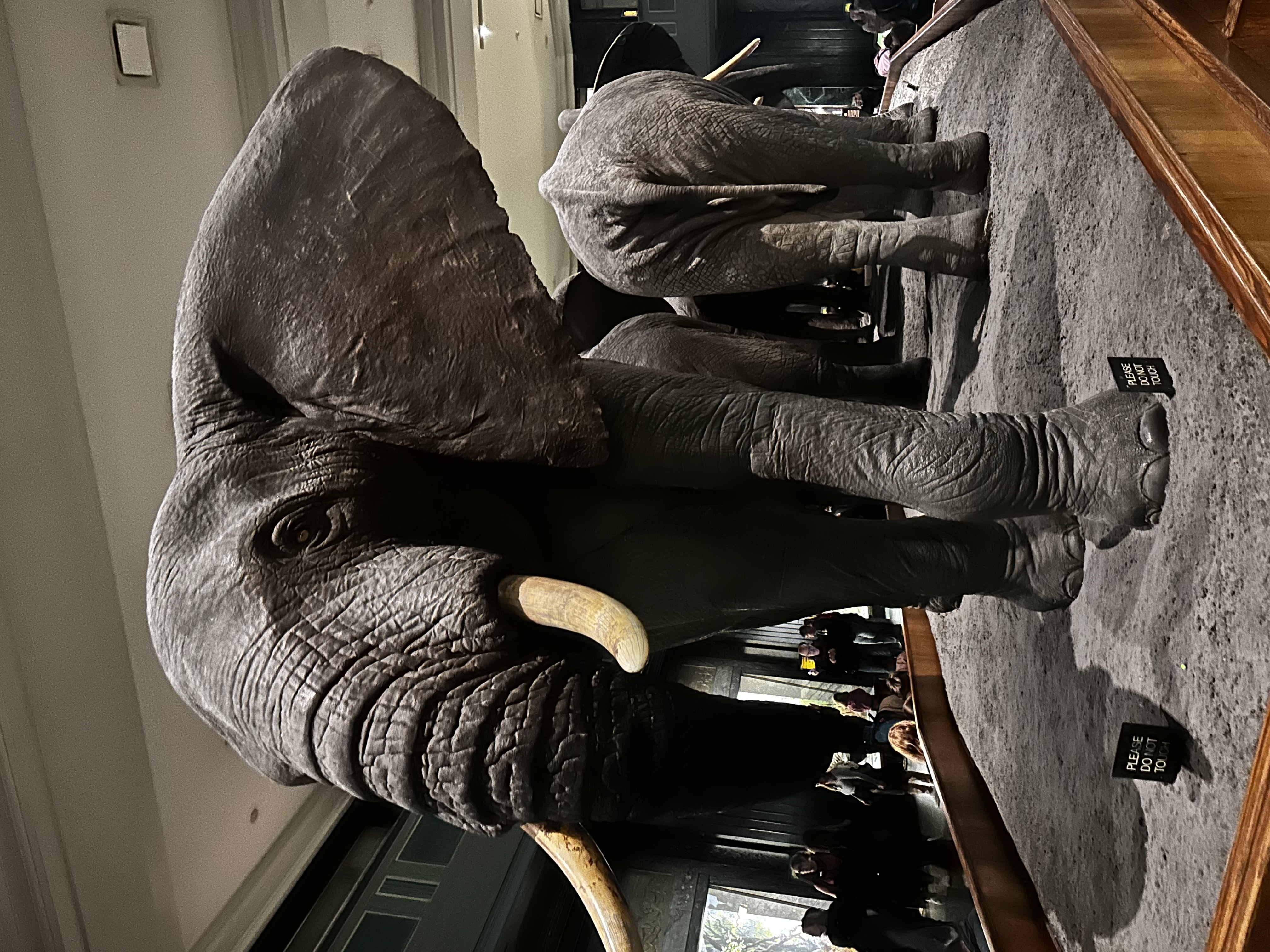 Book American Museum of Natural History Tickets