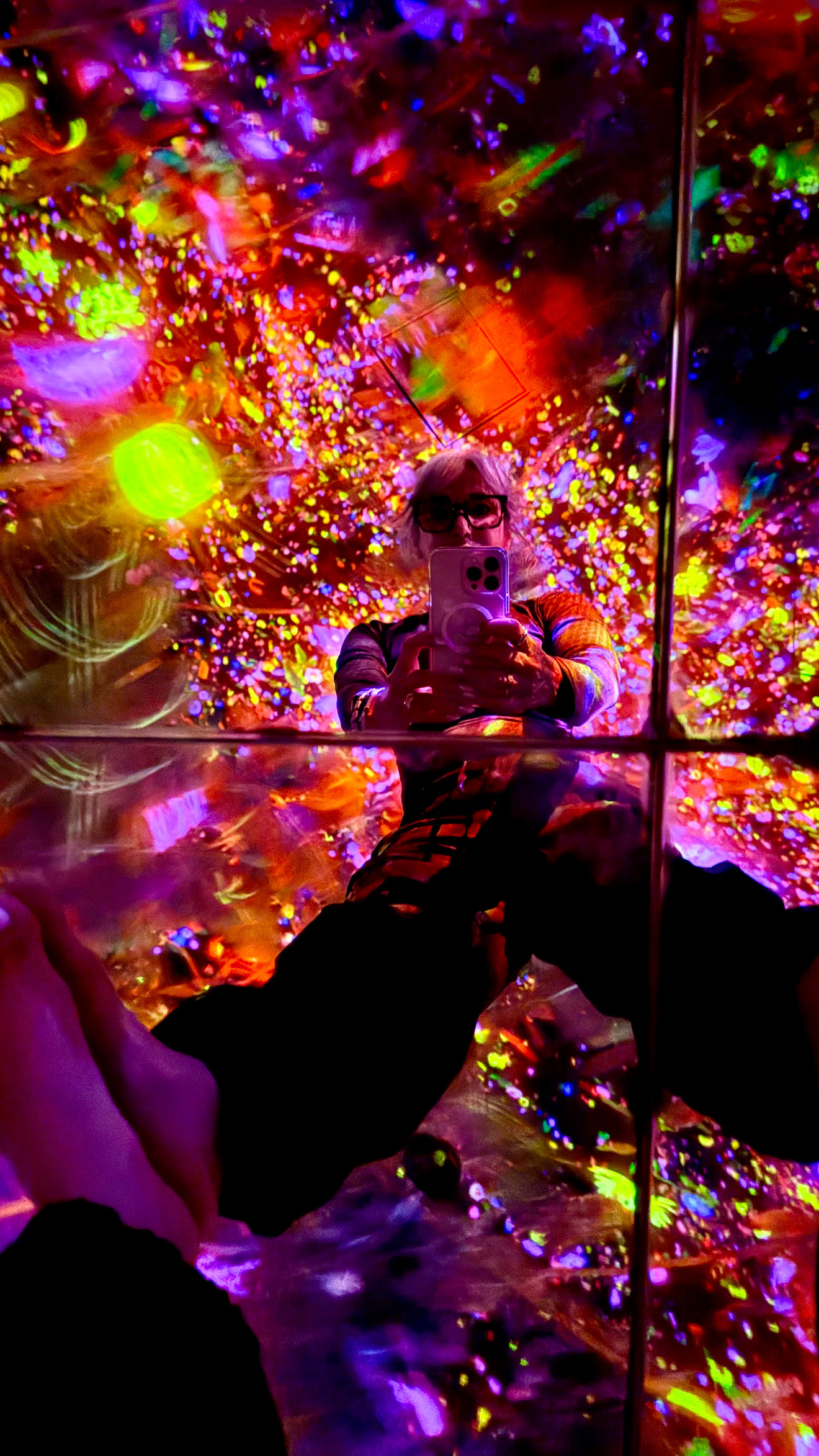 teamLab Planets Tokyo Tickets | Optional Premium Pass