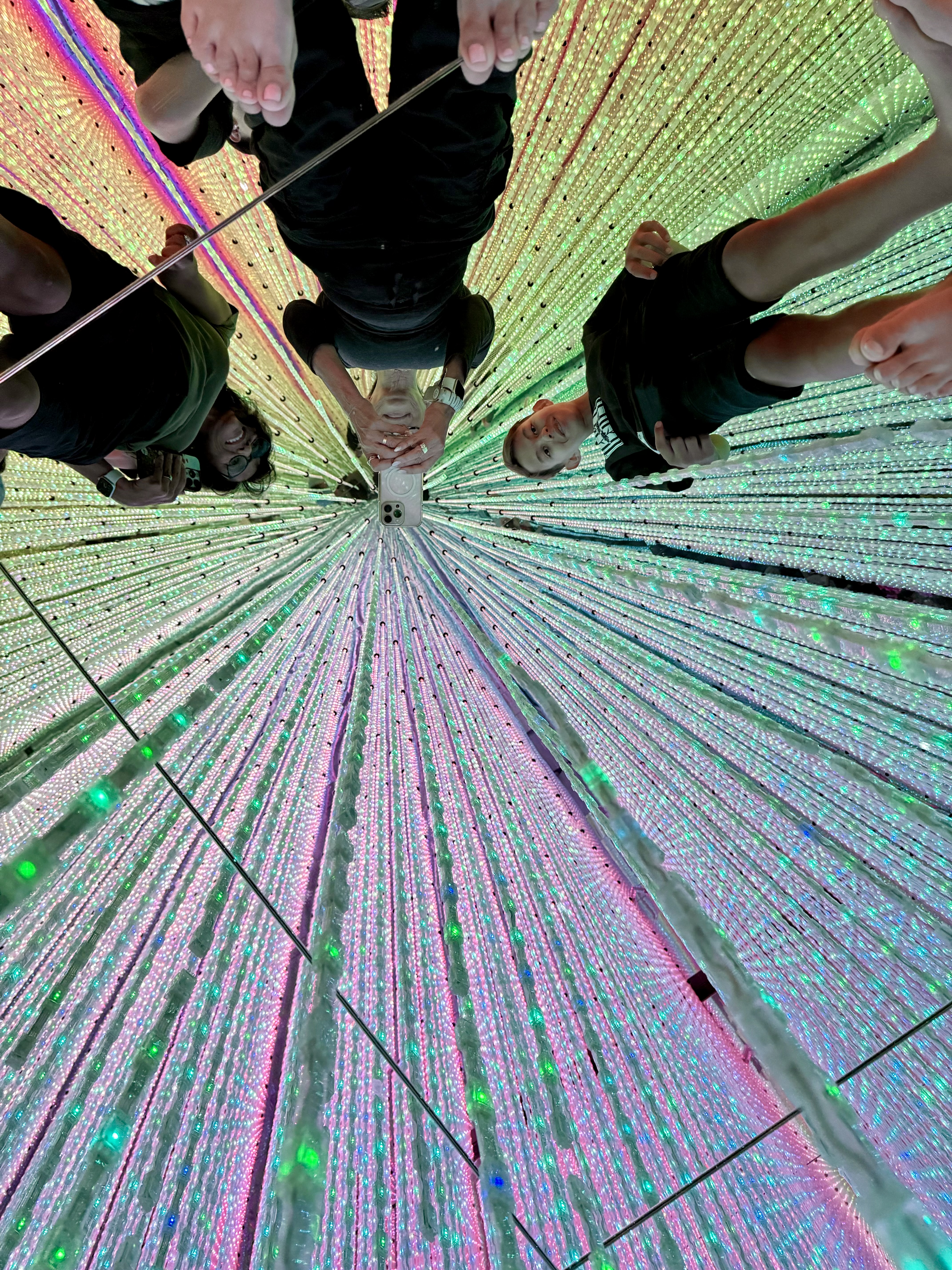 teamLab Planets Tokyo Tickets | Optional Premium Pass