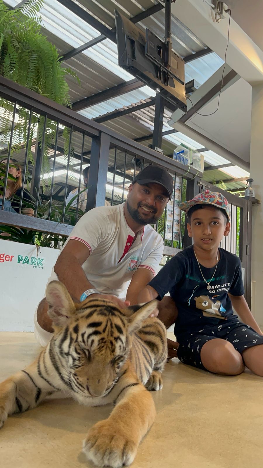 Tiger Park Pattaya Tickets — 50% Off & Fun Interactions