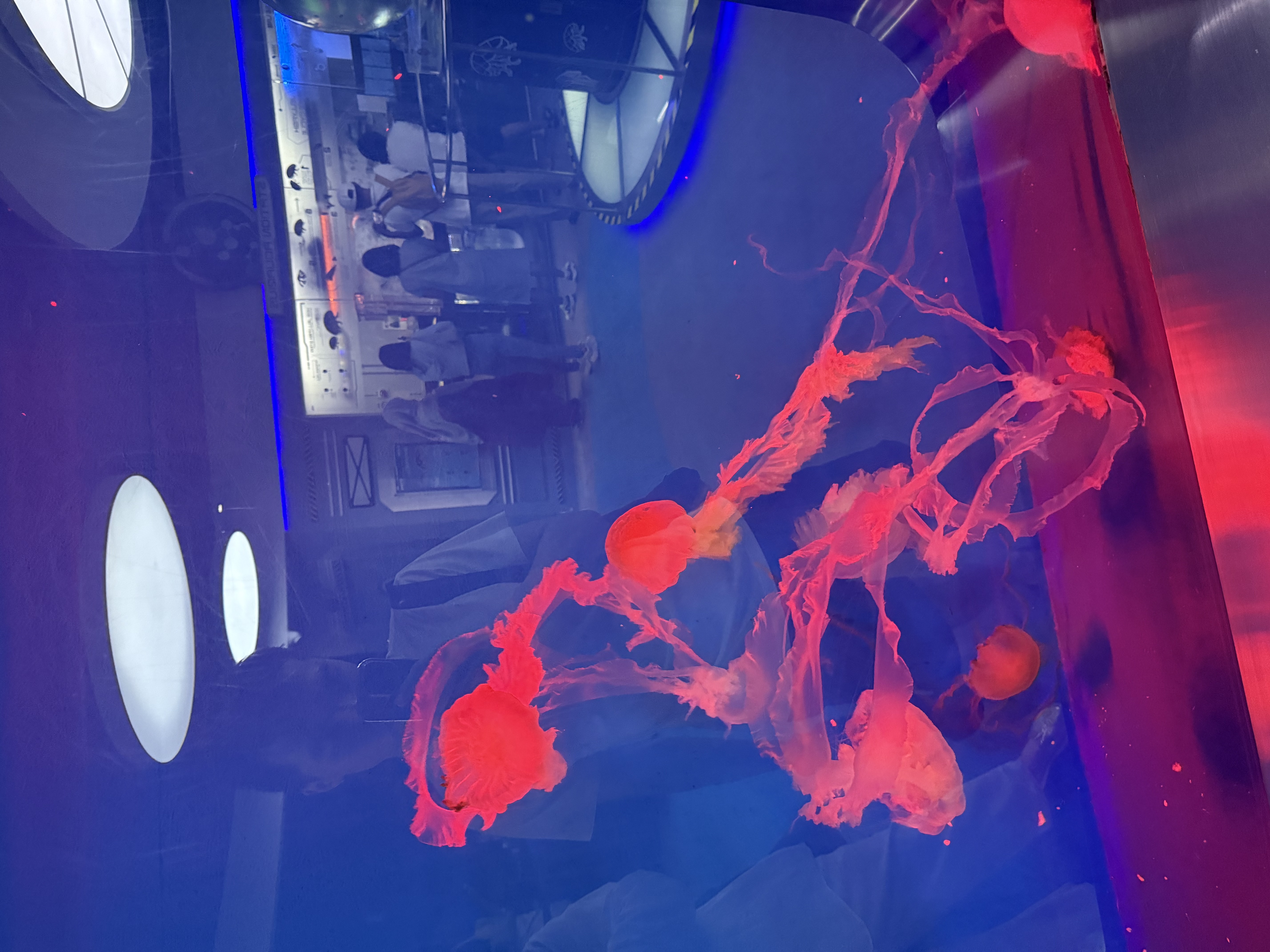 Top-rated KL Tower Tickets | Up to 63% Off