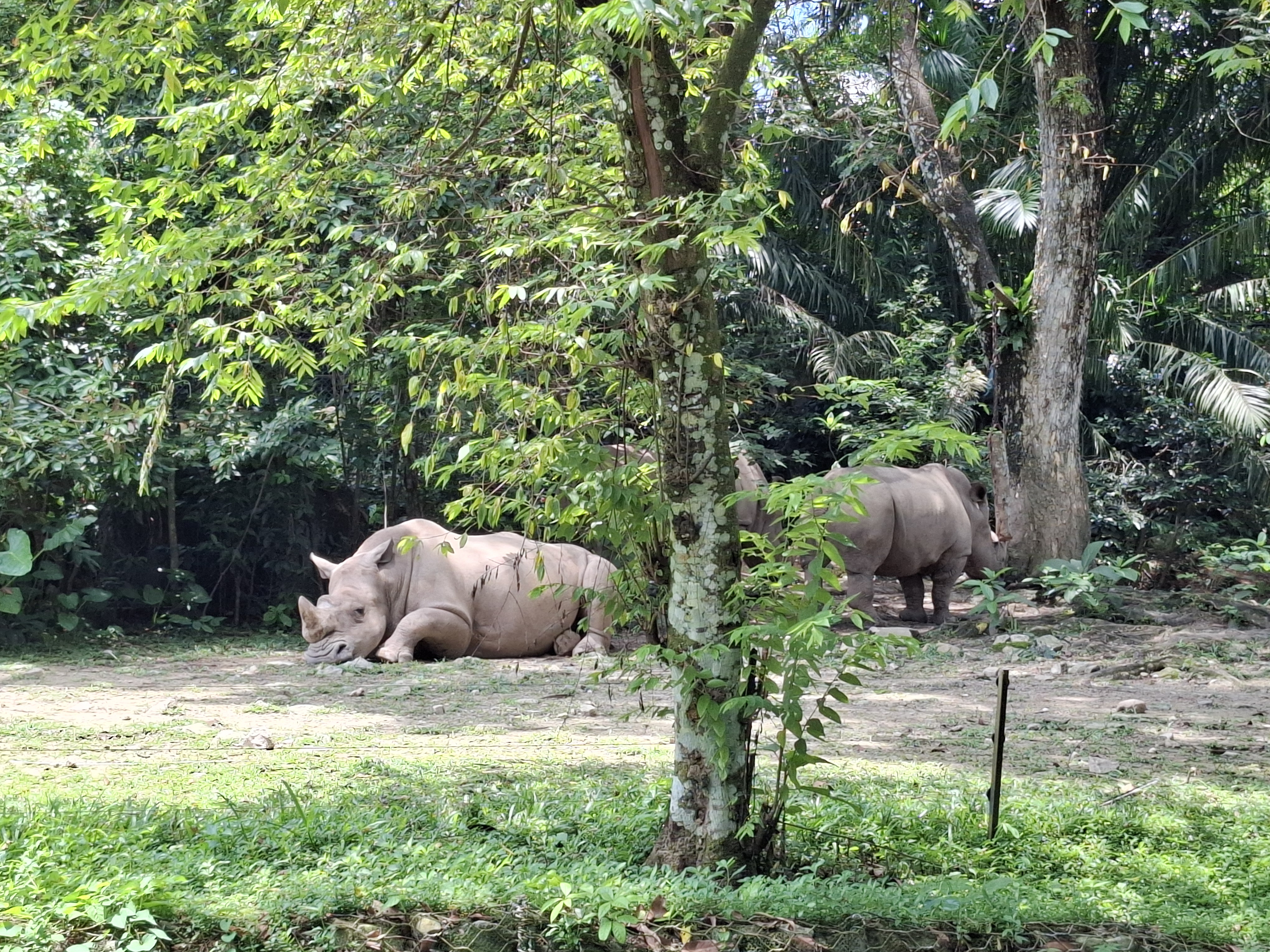 Aquaria KLCC Tickets & Zoo Negara Tickets | Save 15%