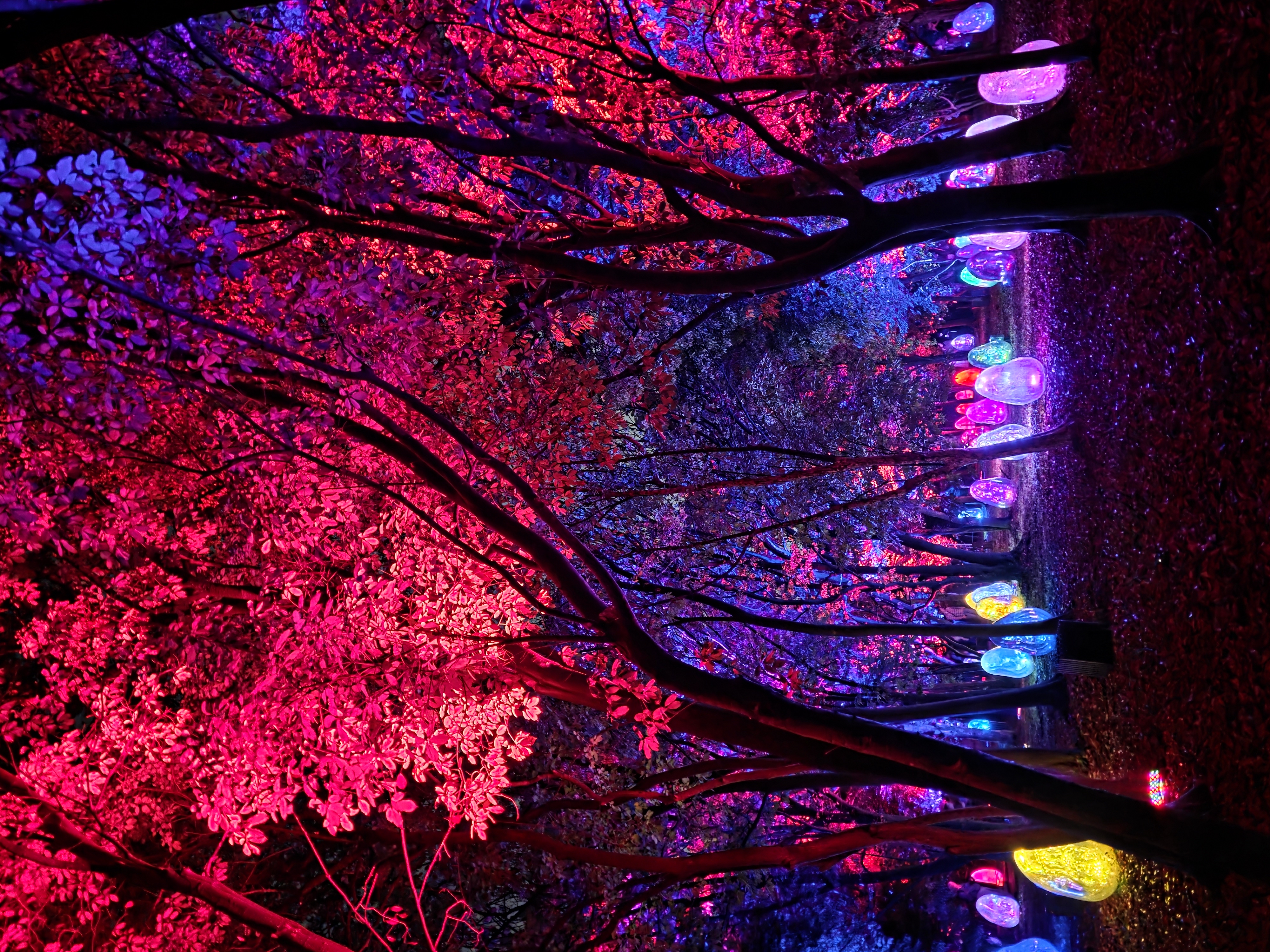 teamlab Osaka Tickets