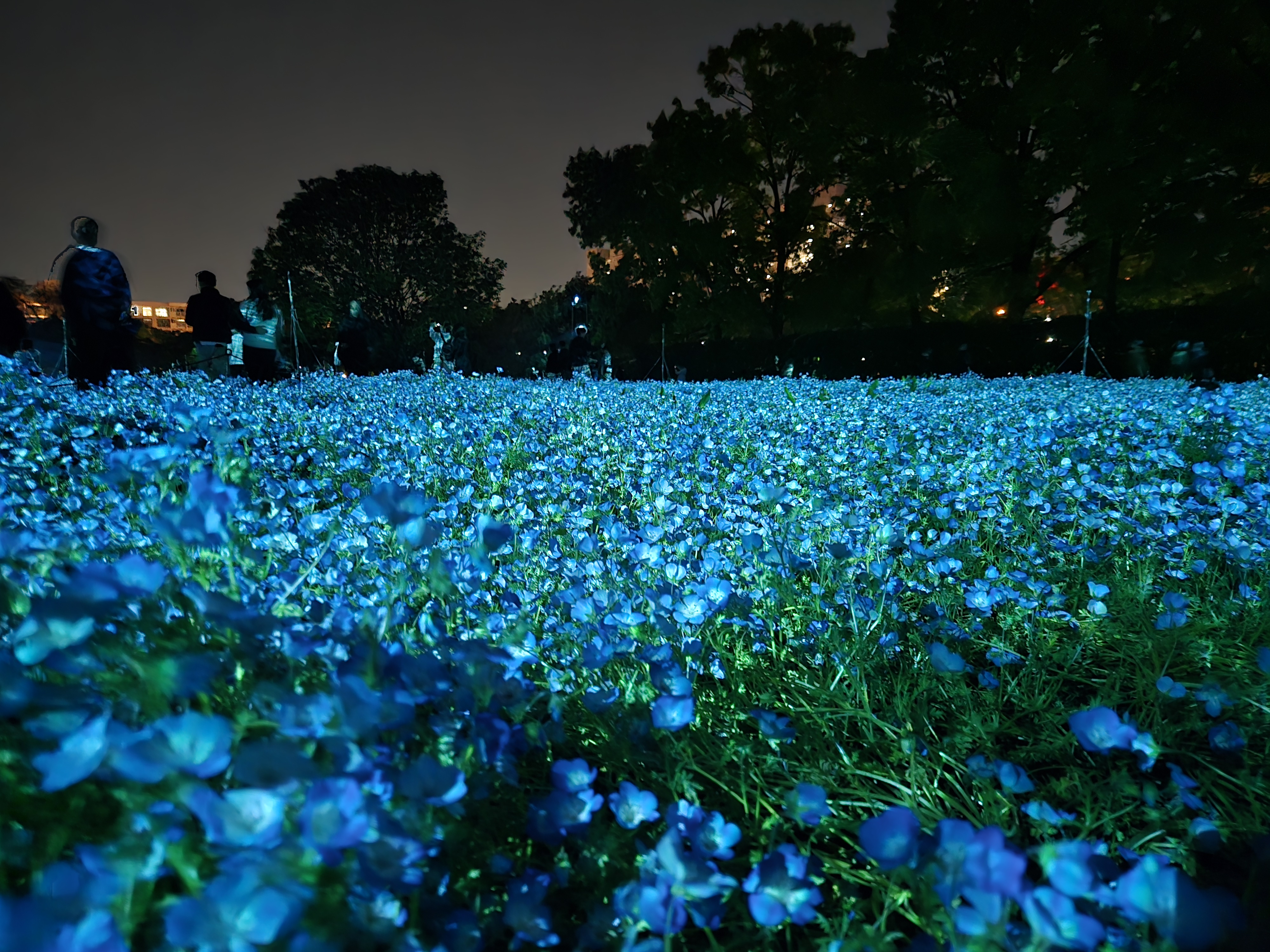 teamlab Osaka Tickets