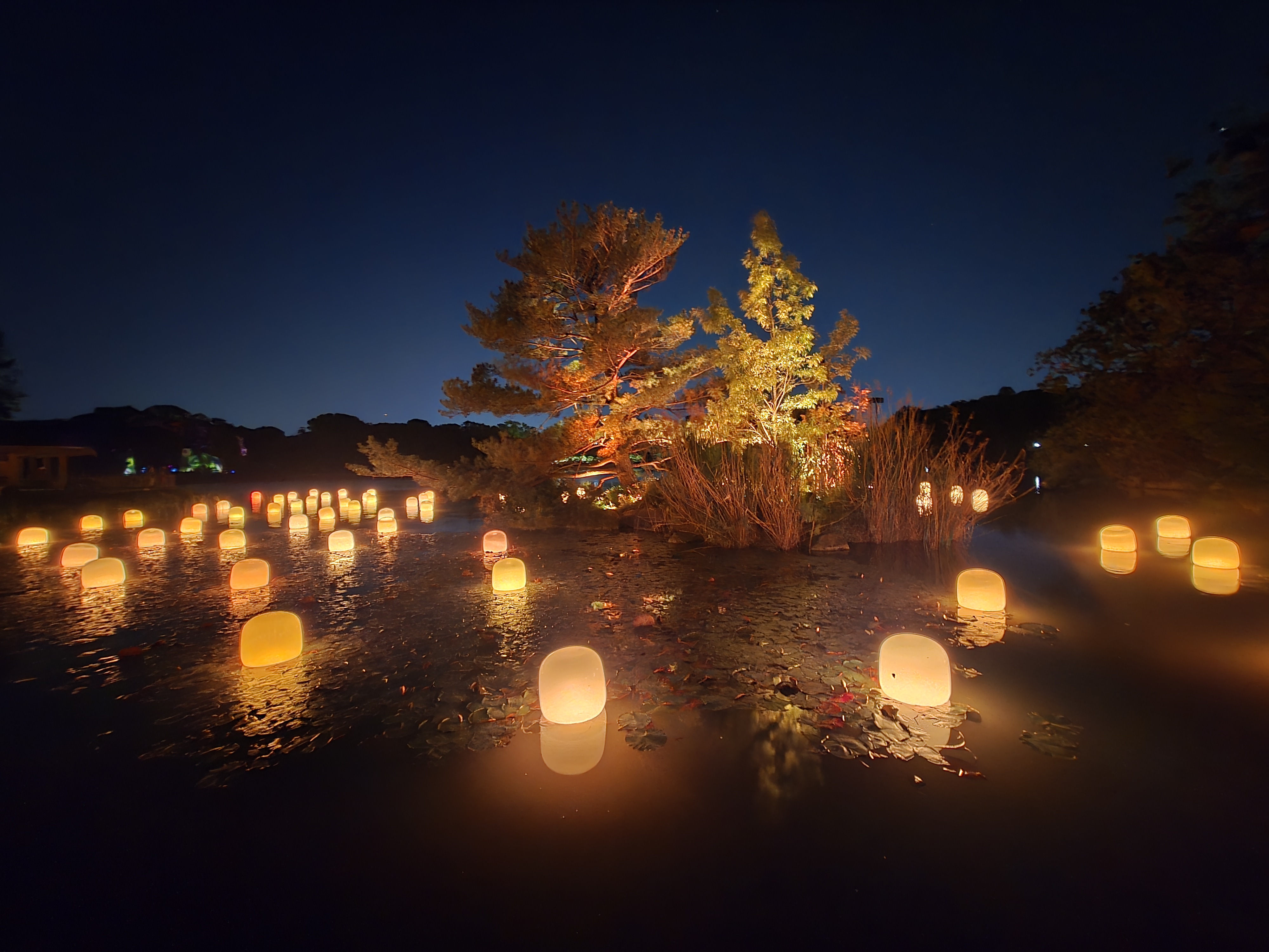 teamlab Osaka Tickets