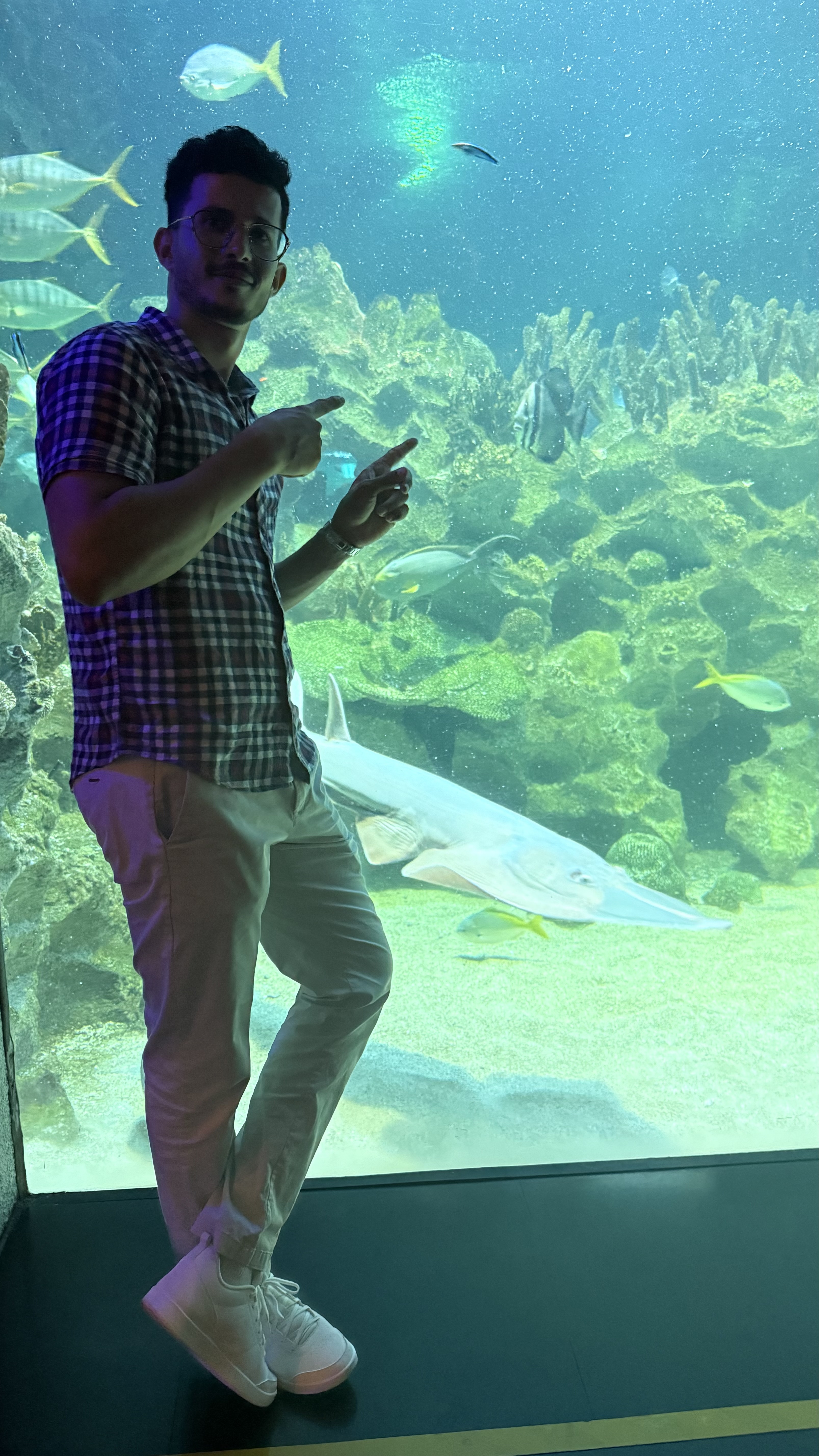 Aquaria KLCC Tickets & Zoo Negara Tickets | Save 15%