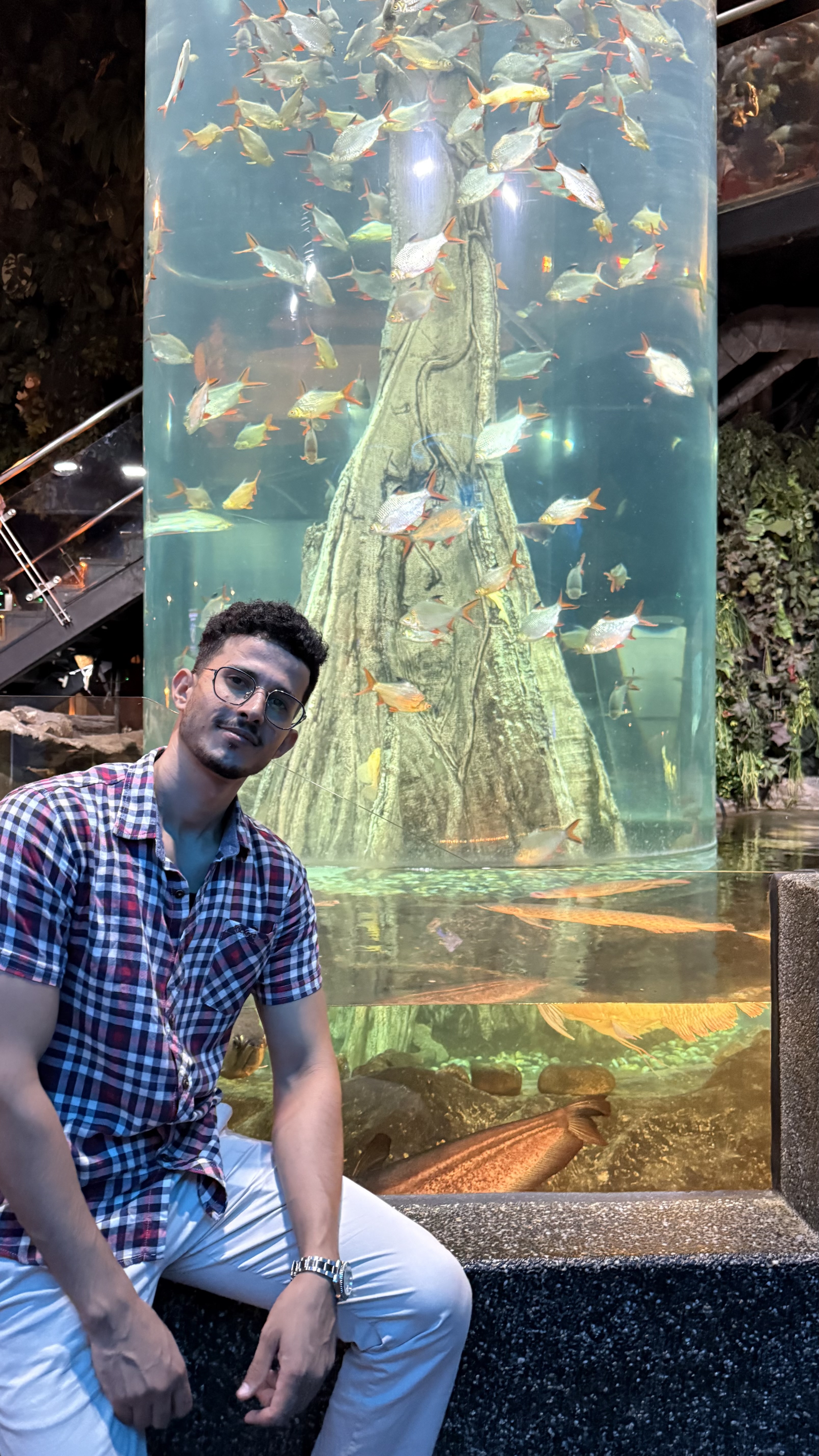 Aquaria KLCC Tickets & Zoo Negara Tickets | Save 15%