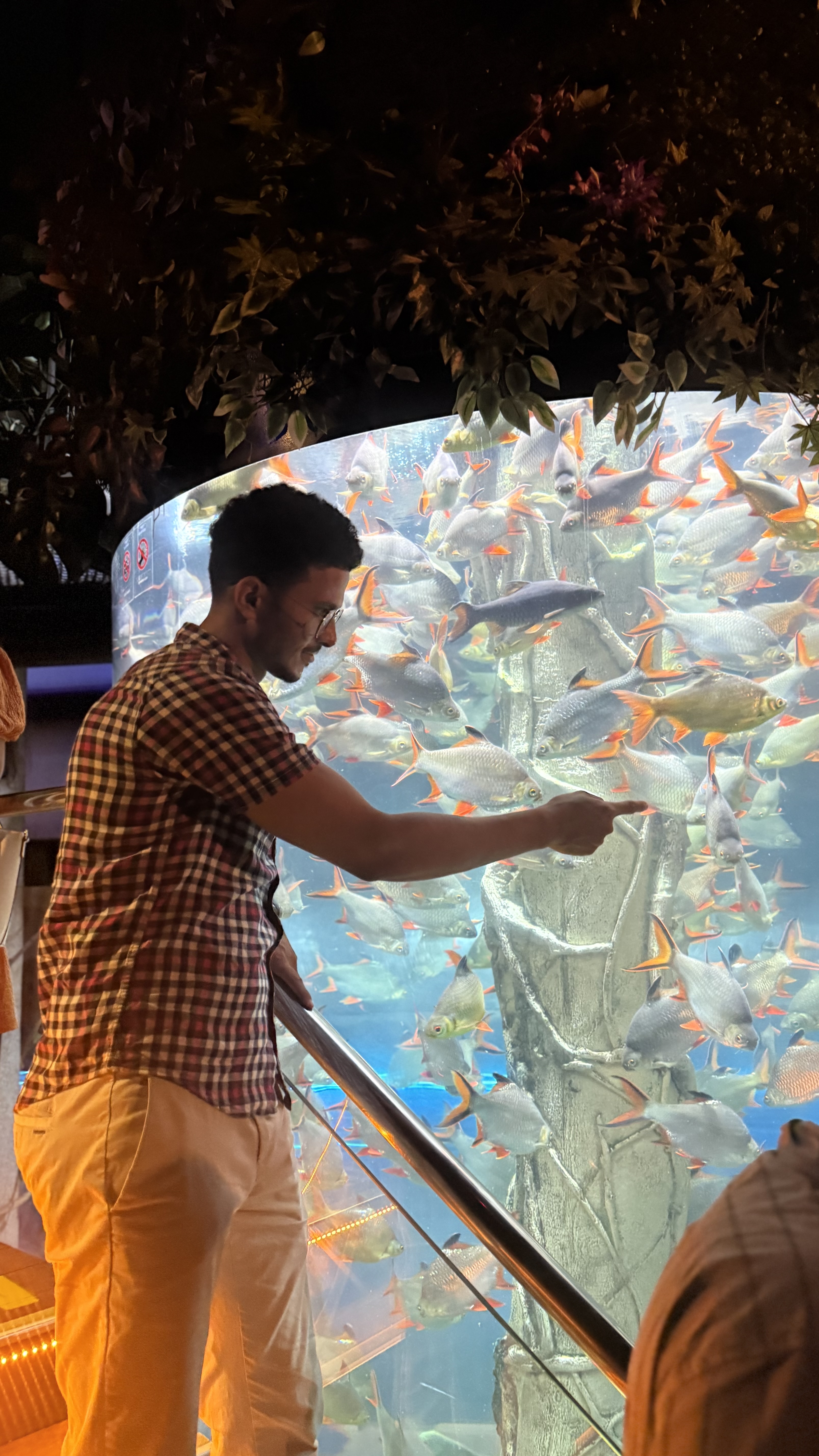 Aquaria KLCC Tickets & Zoo Negara Tickets | Save 15%