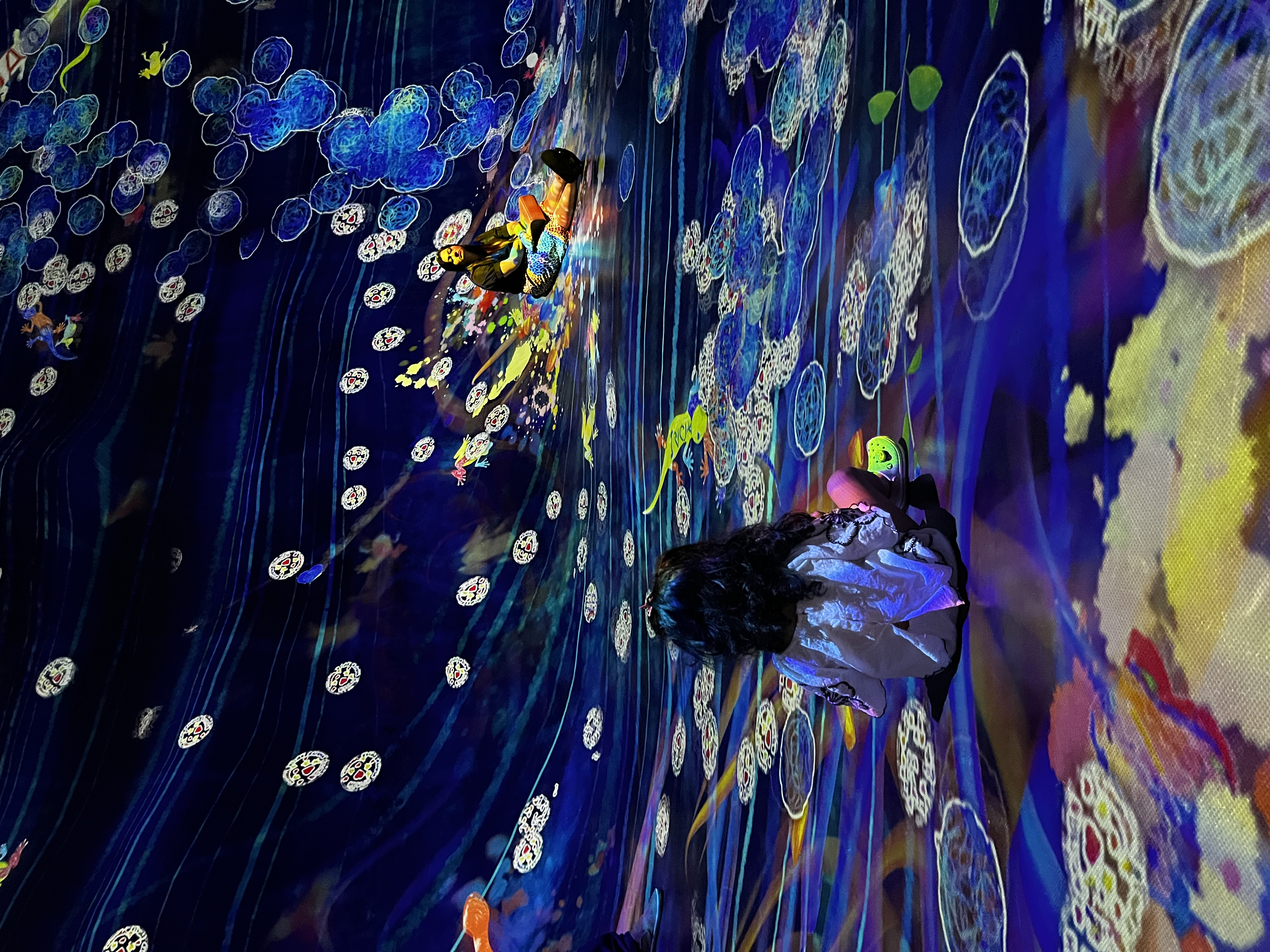 teamLab Phenomena Abu Dhabi | Ever-Changing Digital Art