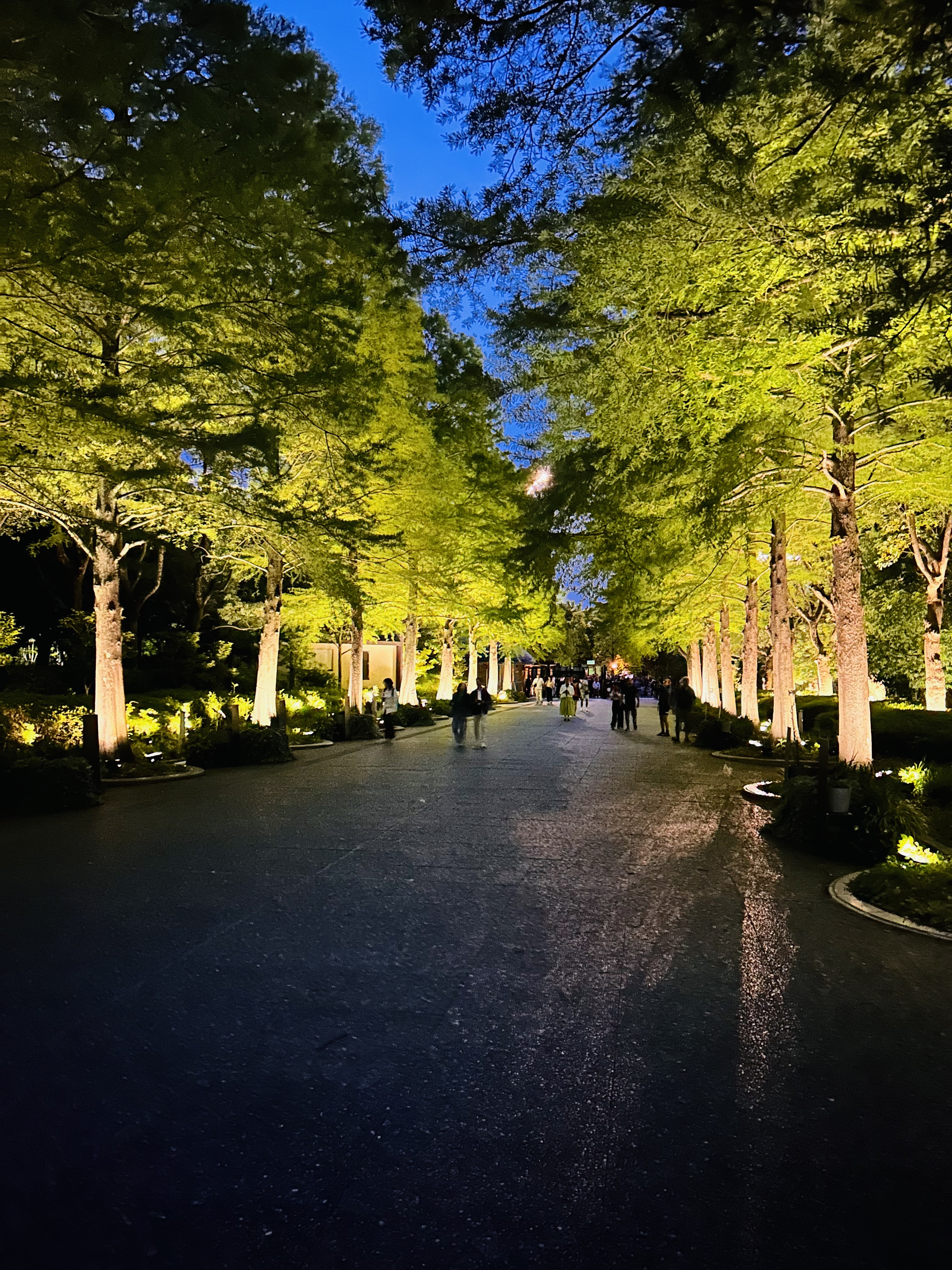 teamlab Osaka Tickets