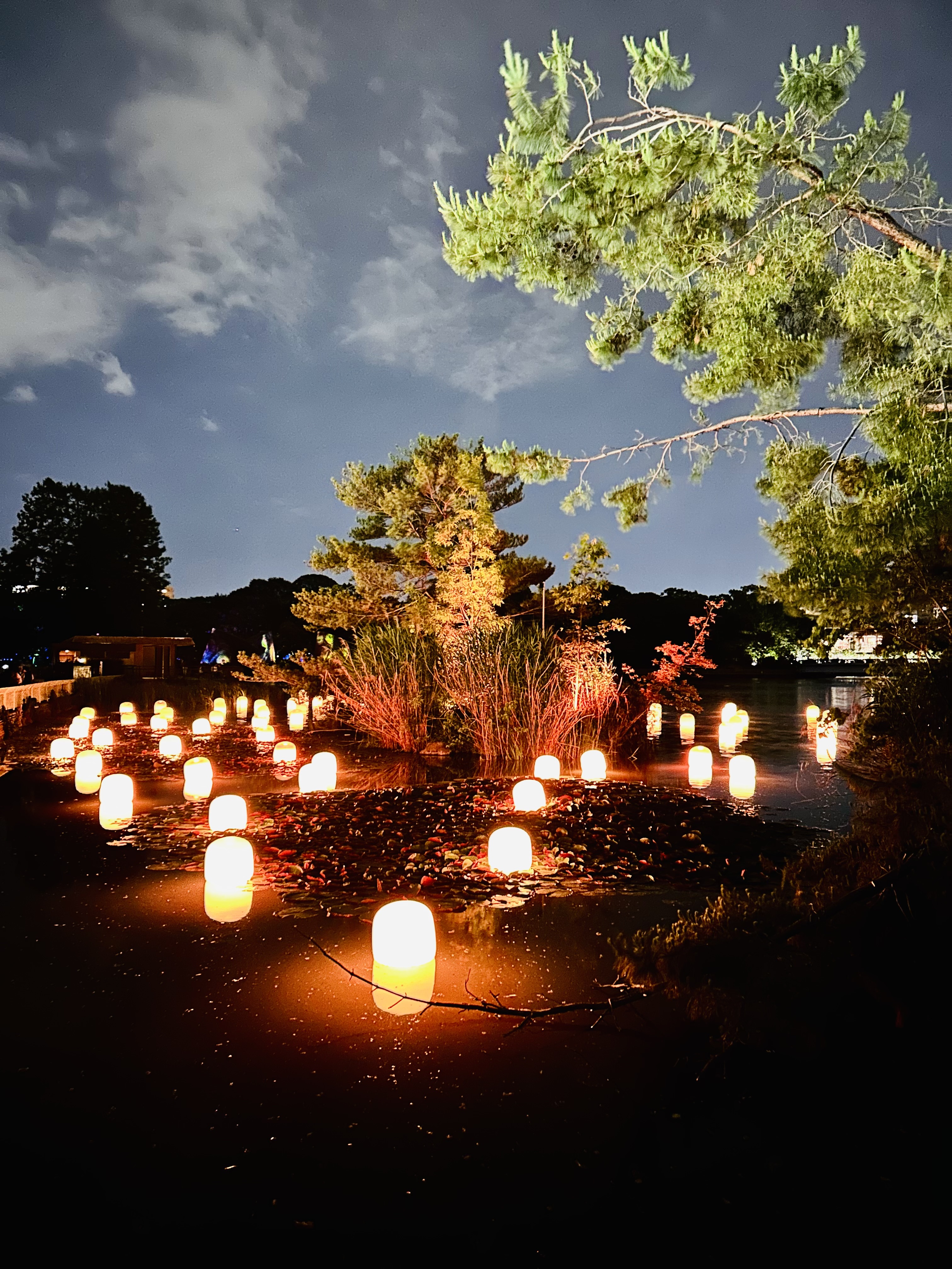 teamlab Osaka Tickets