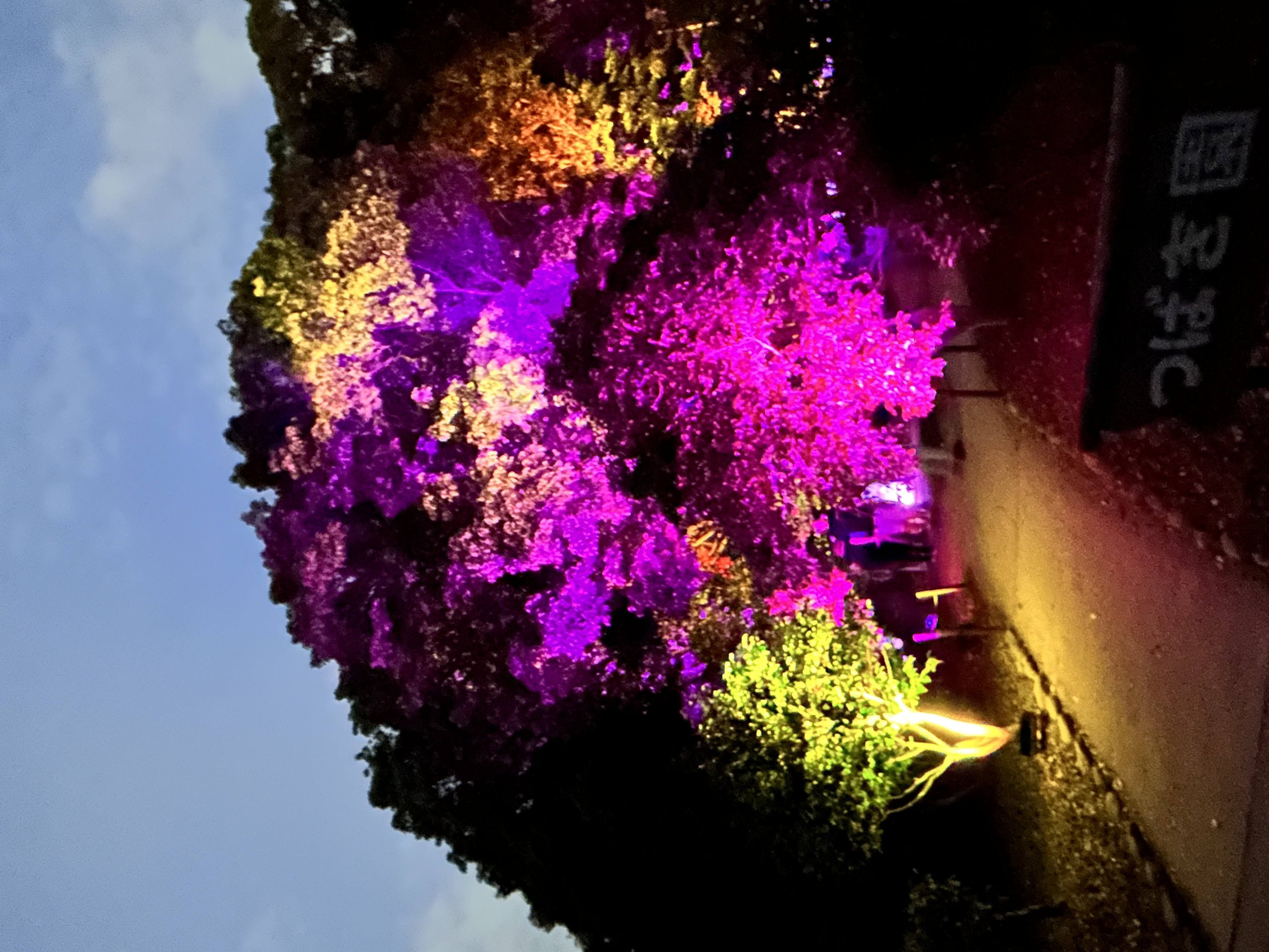 teamlab Osaka Tickets