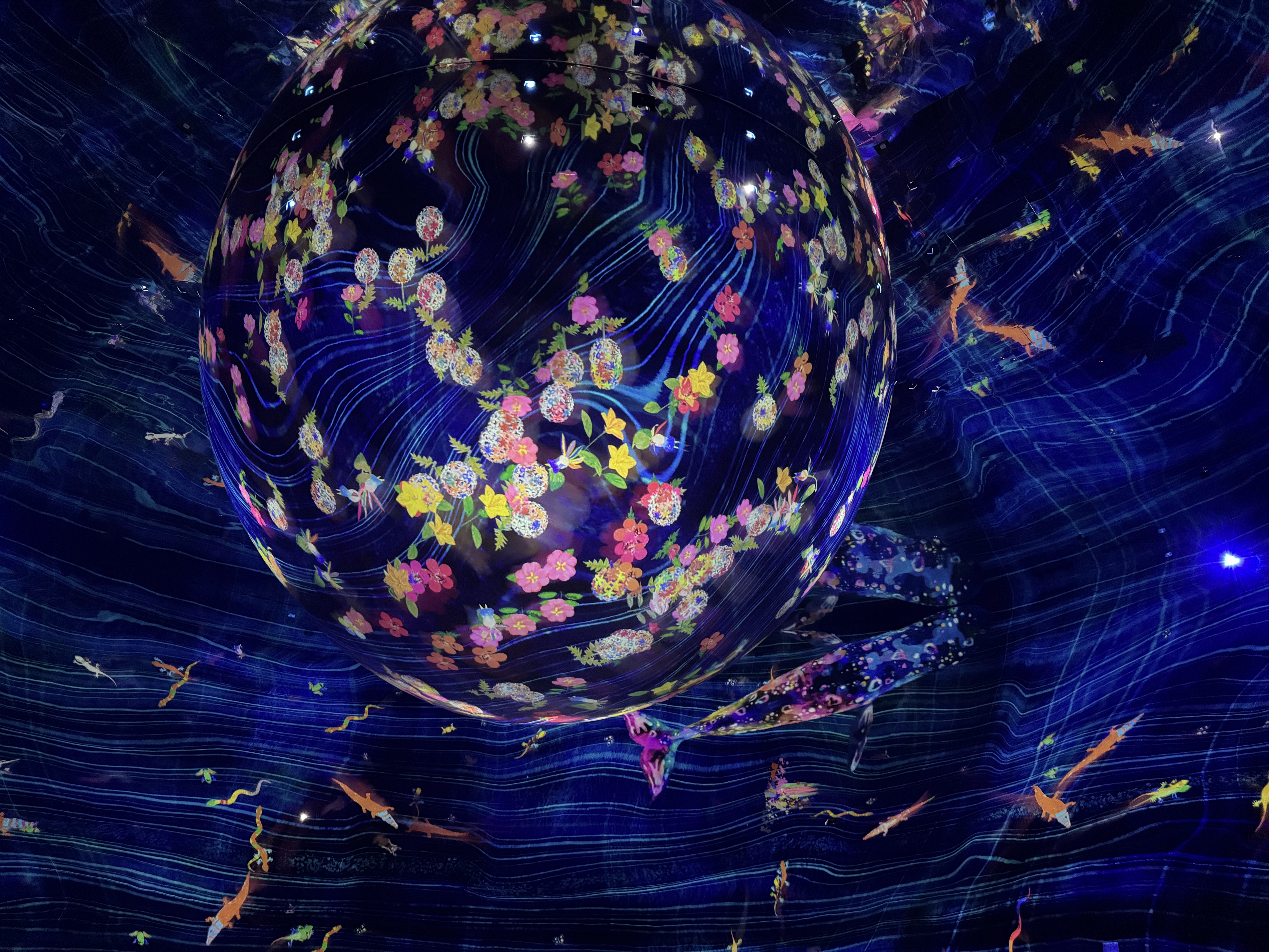 teamLab Phenomena Abu Dhabi | Ever-Changing Digital Art