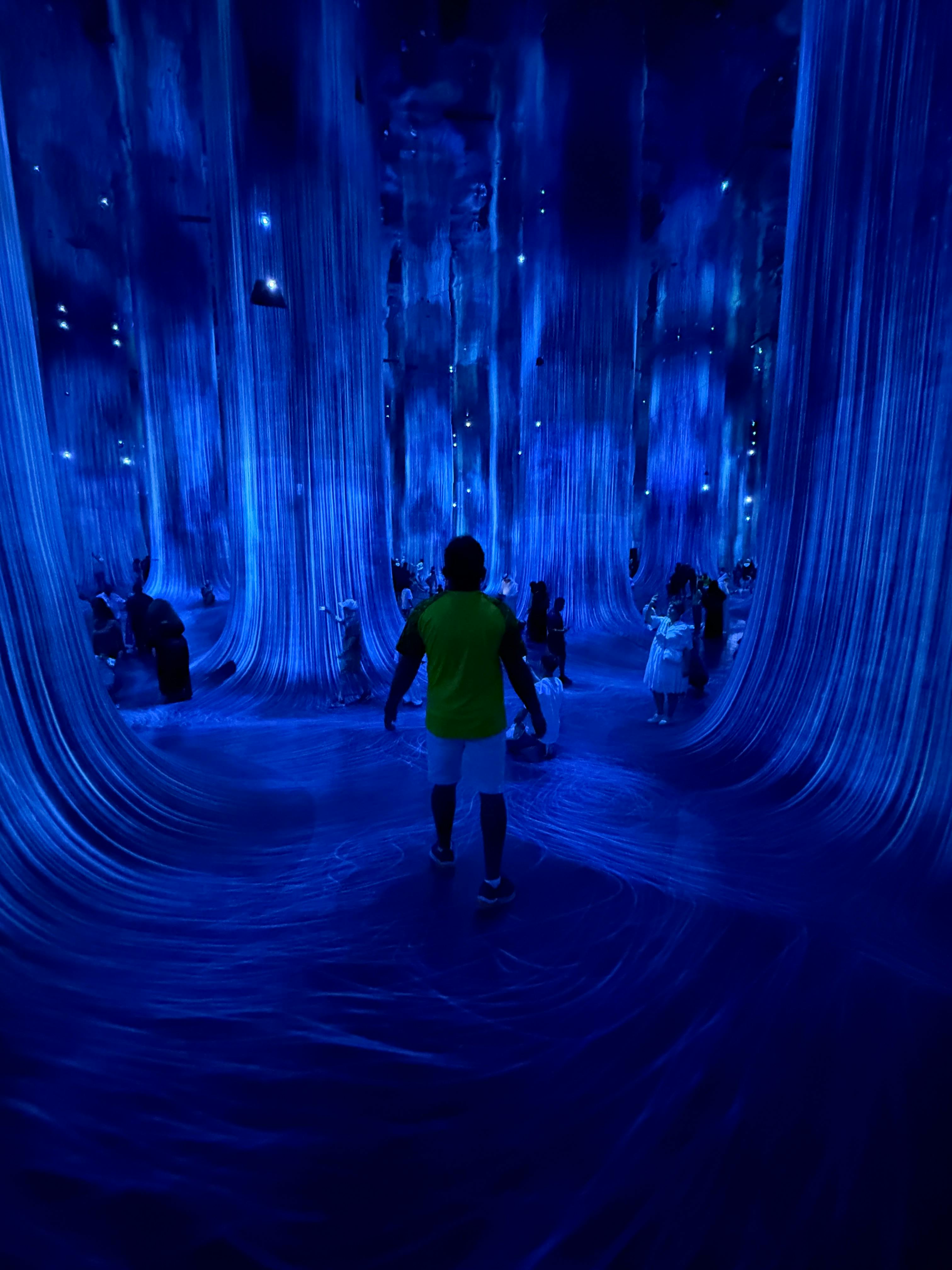 teamLab Phenomena Abu Dhabi Tickets | Book Now