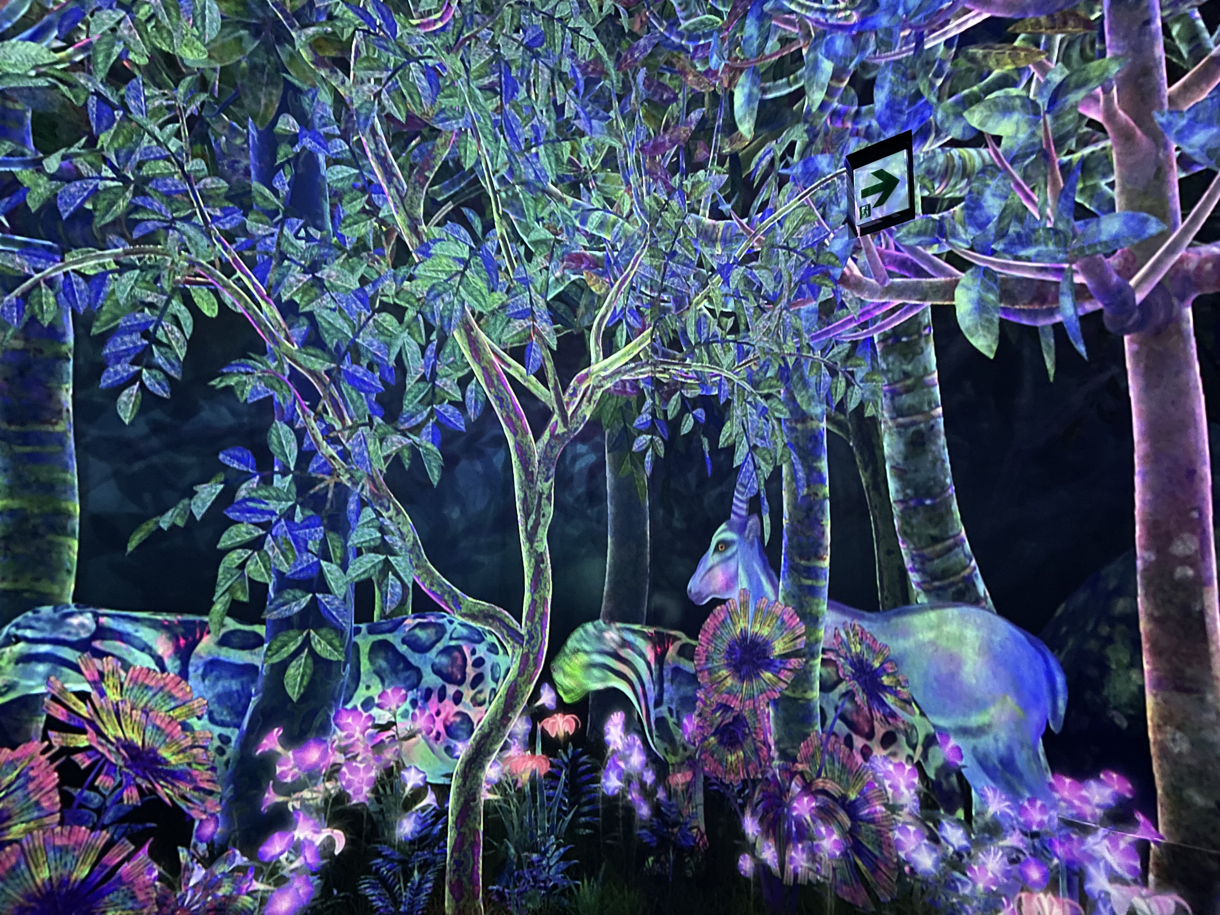 teamLab Planets Tokyo Tickets | Optional Premium Pass