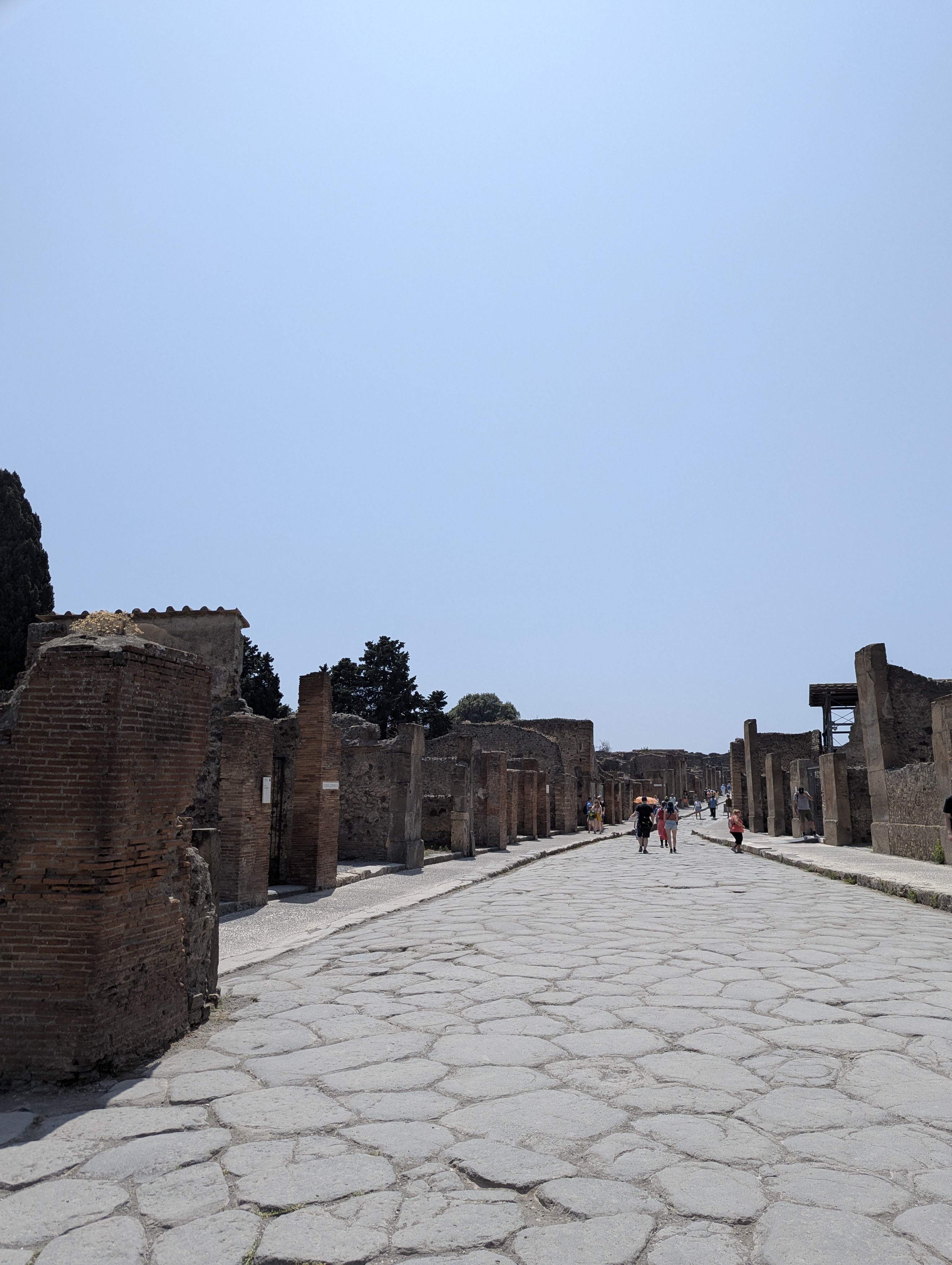 Campania Express Tickets | Naples to Herculaneum/Pompeii