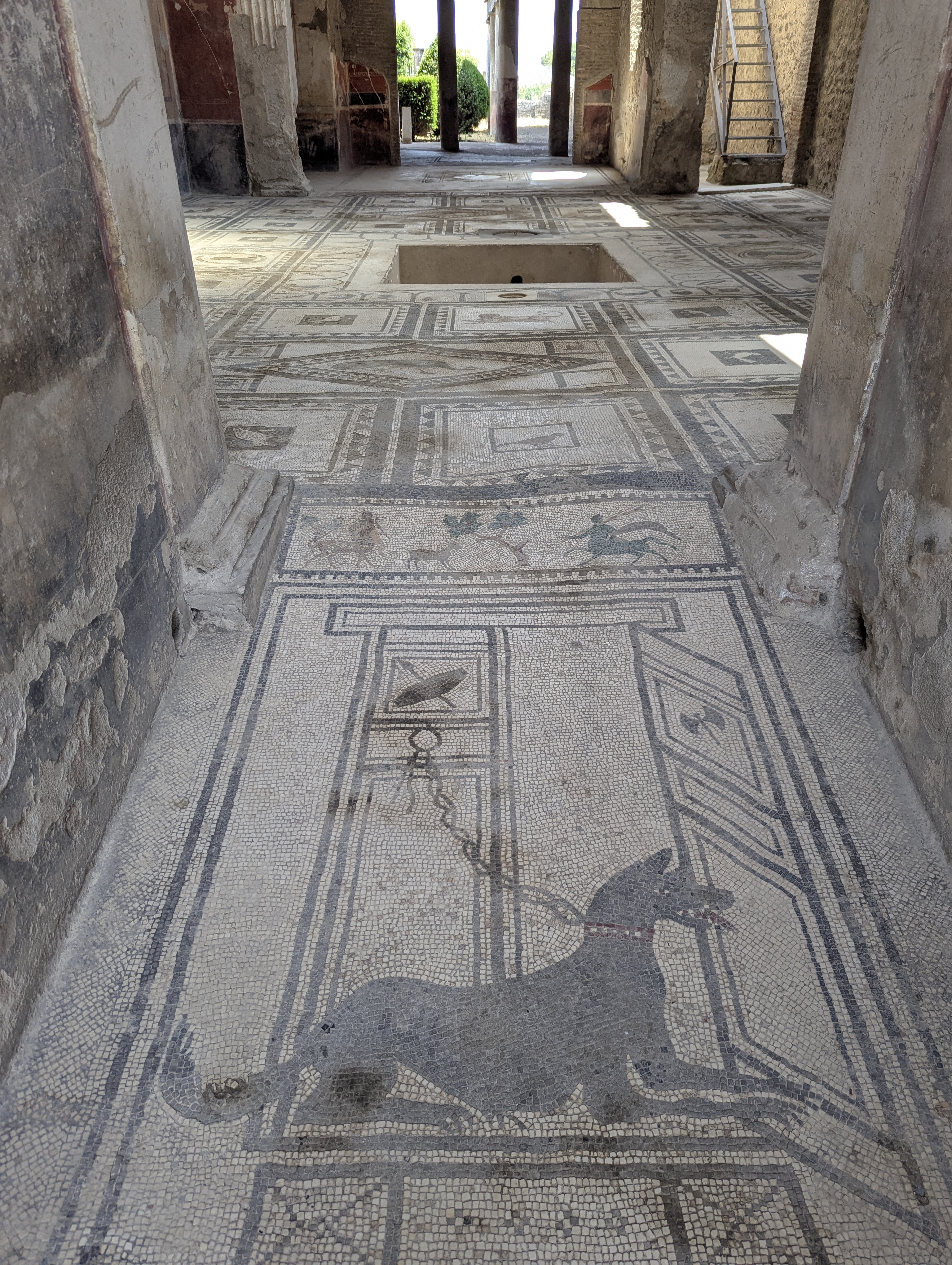 Campania Express Tickets | Naples to Herculaneum/Pompeii