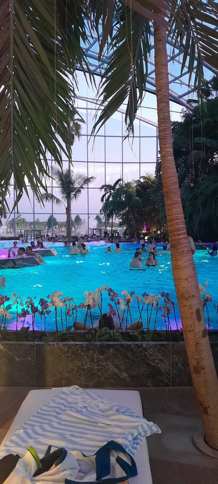 Therme Bucharest Entry Tickets | Headout