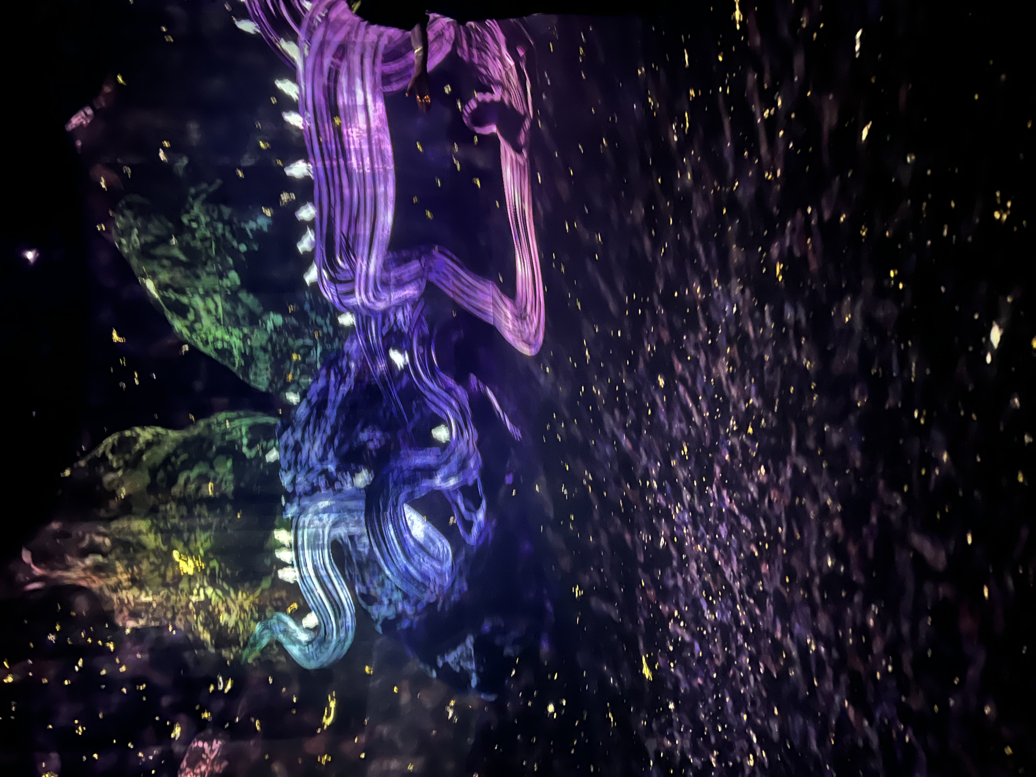 teamLab Tokyo Tickets | Tokyo Tower Main Deck Entry