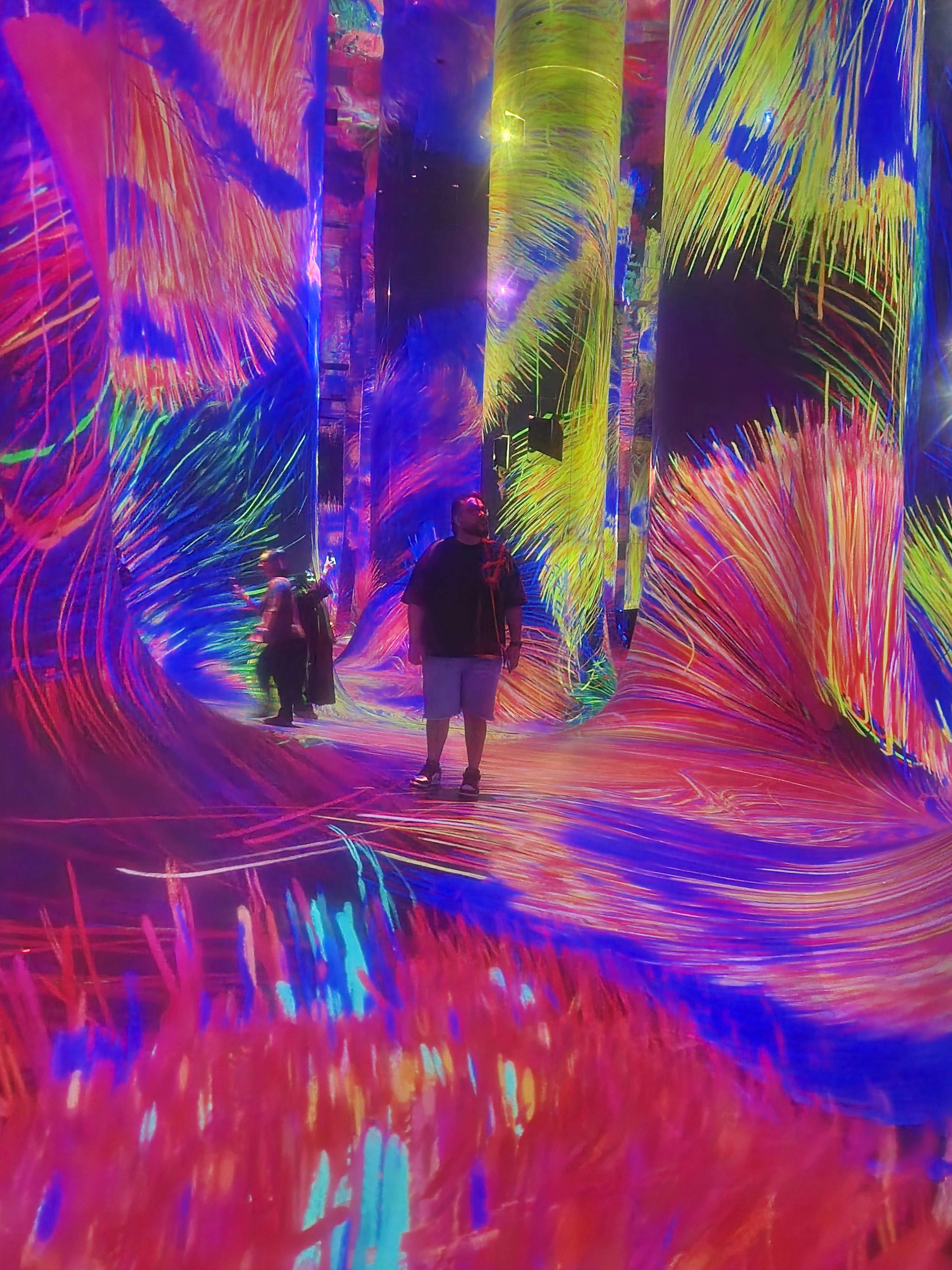 teamLab Phenomena Abu Dhabi | Ever-Changing Digital Art