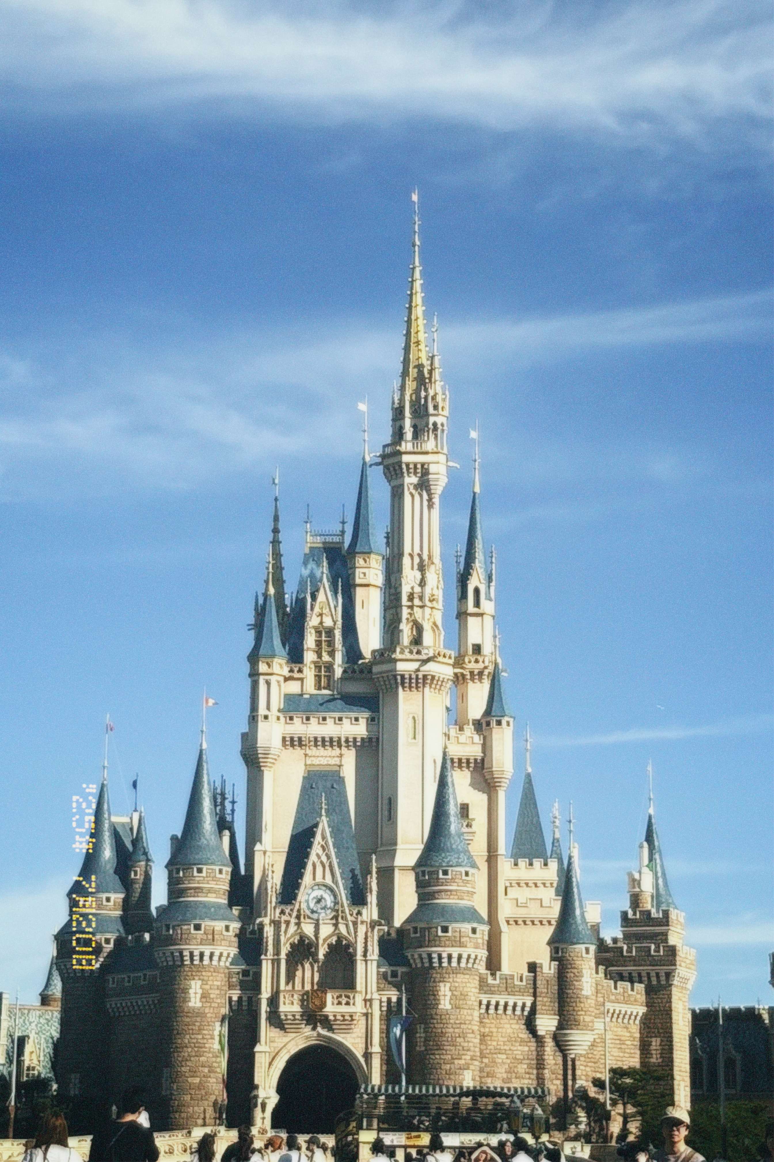 Tokyo DisneySea and Disneyland Tickets