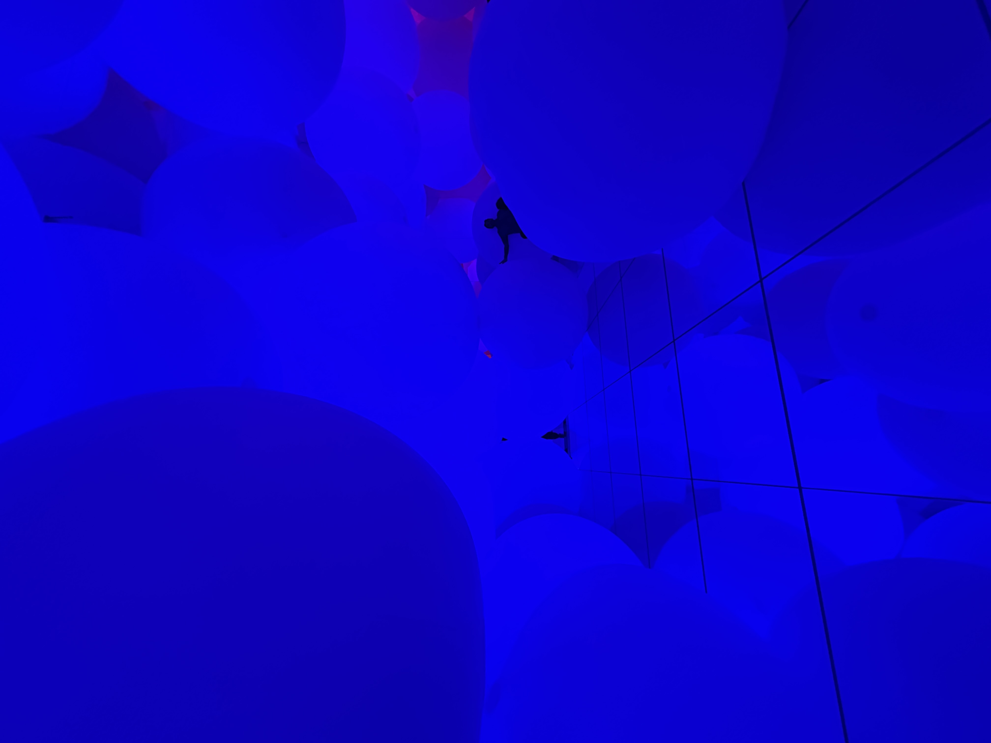 teamLab Tokyo Tickets | Tokyo Tower Main Deck Entry