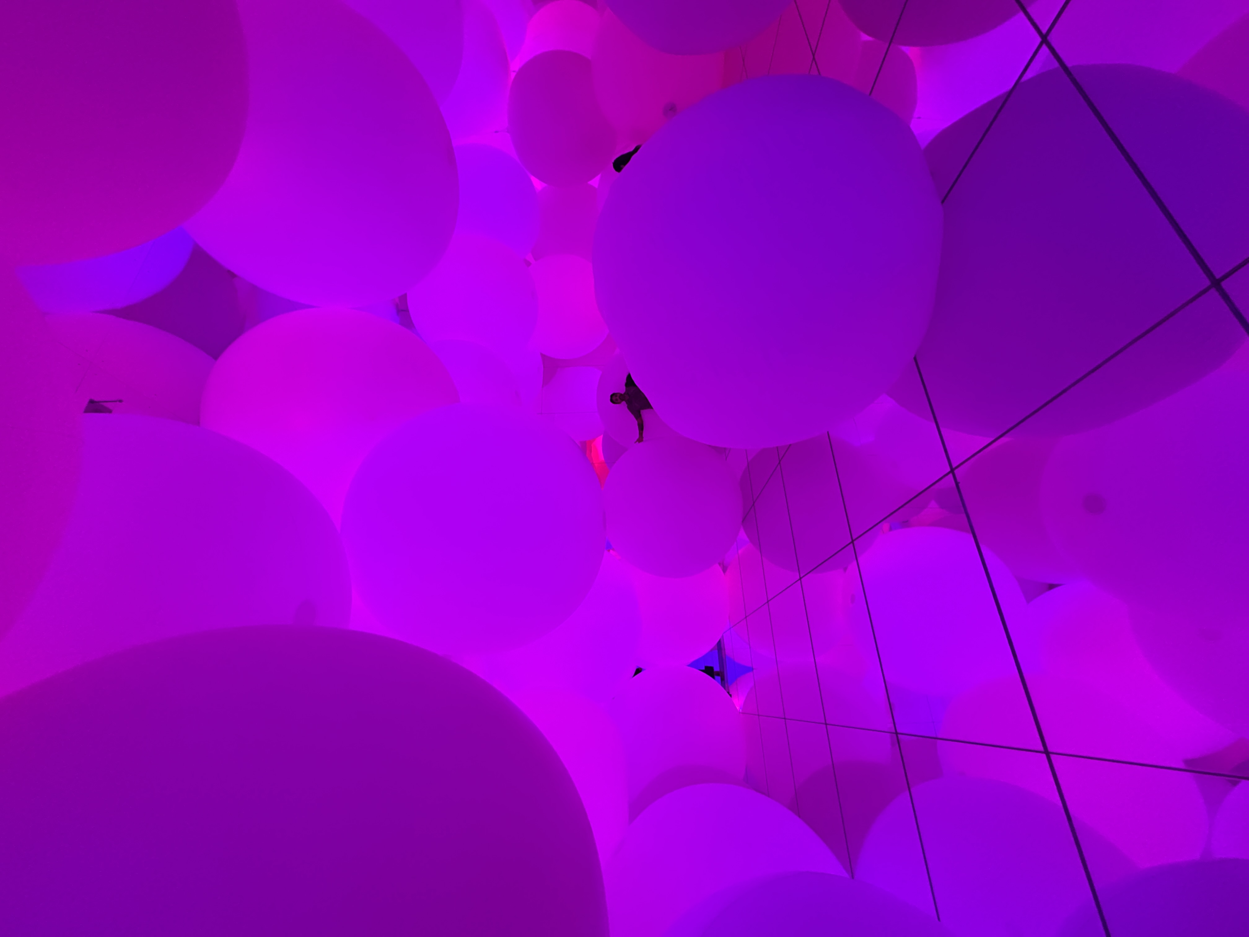 teamLab Tokyo Tickets | Tokyo Tower Main Deck Entry