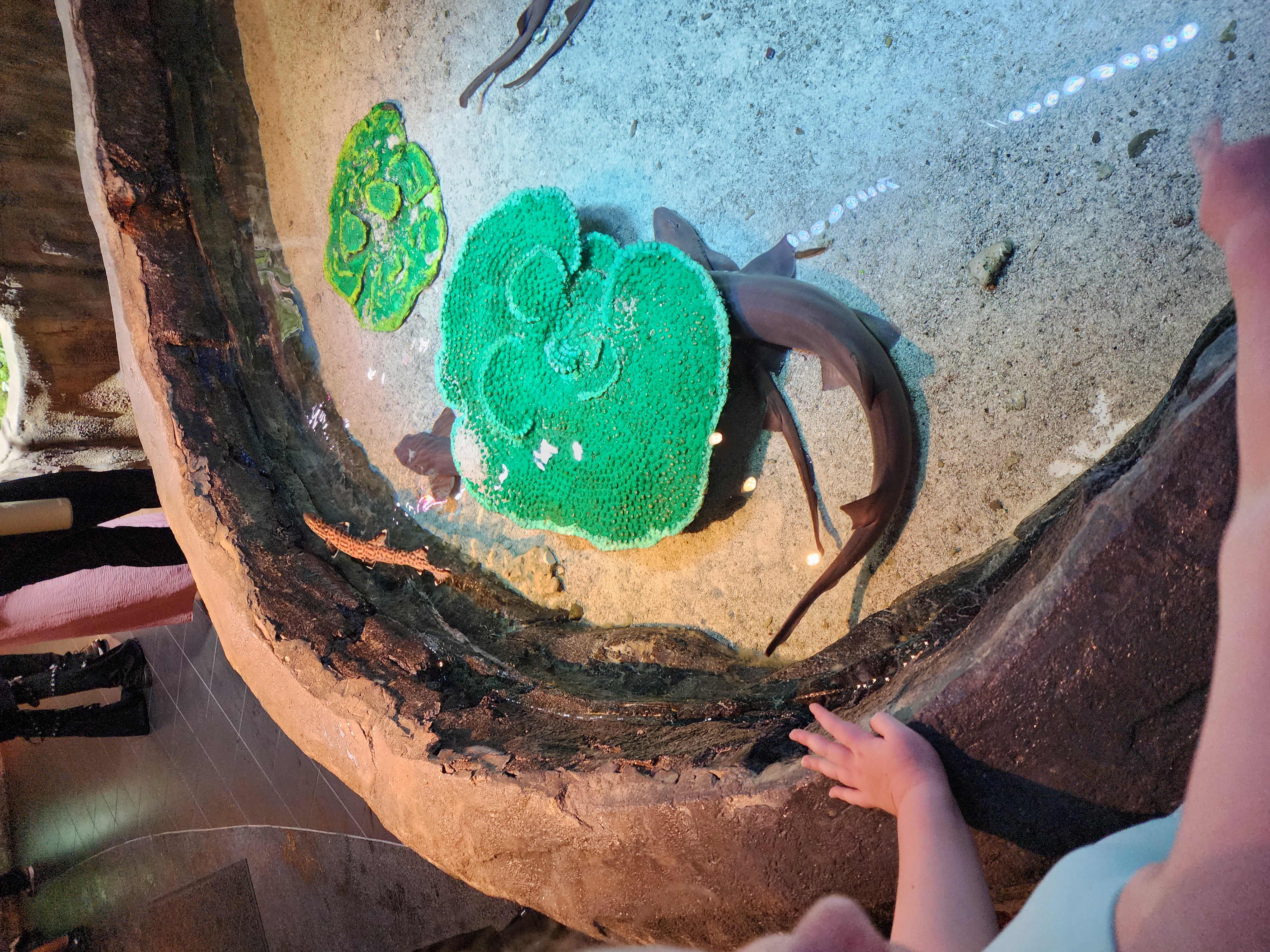 Aquaria KLCC Tickets & Zoo Negara Tickets | Save 15%