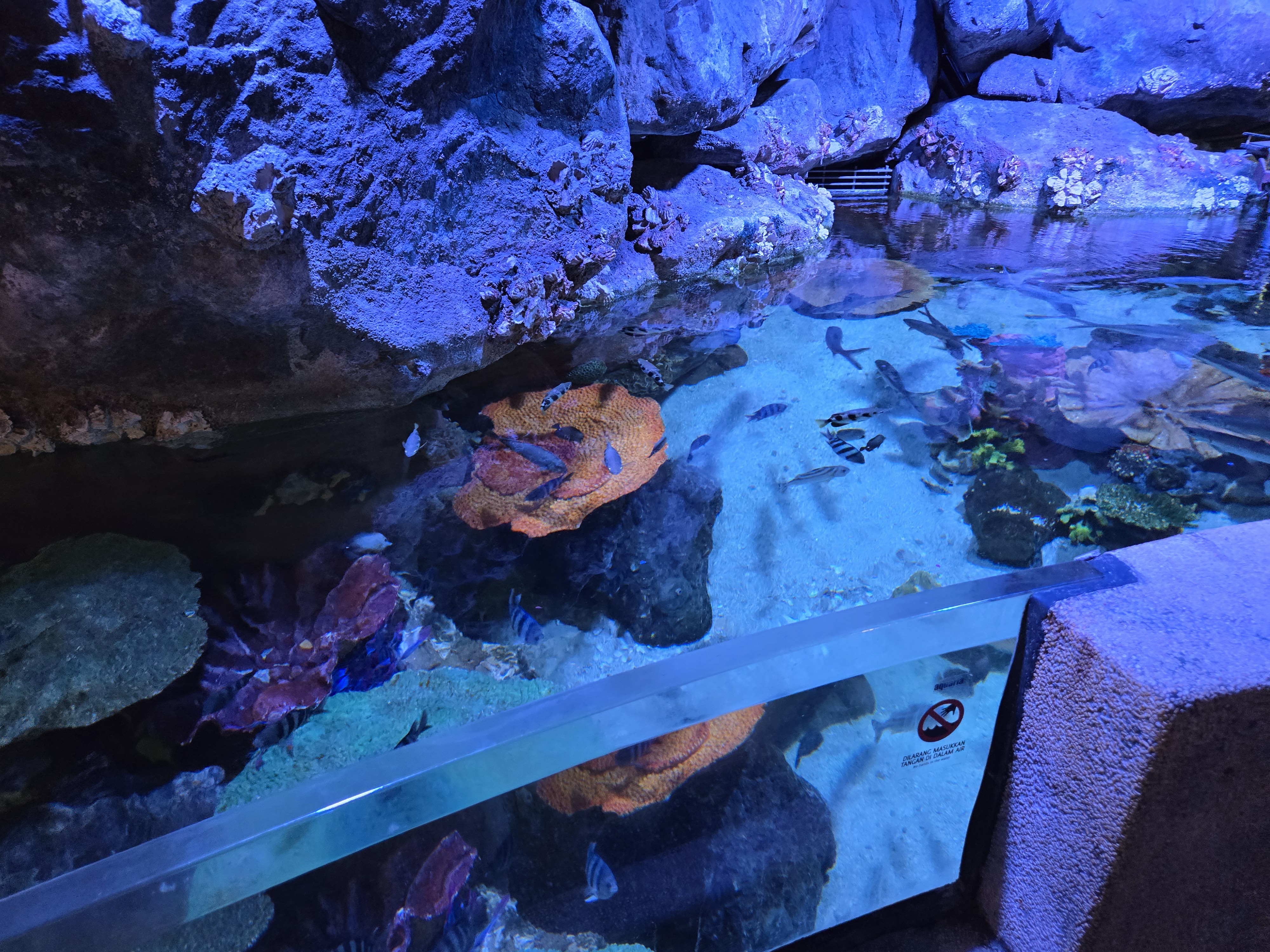 Aquaria KLCC Tickets & Zoo Negara Tickets | Save 15%